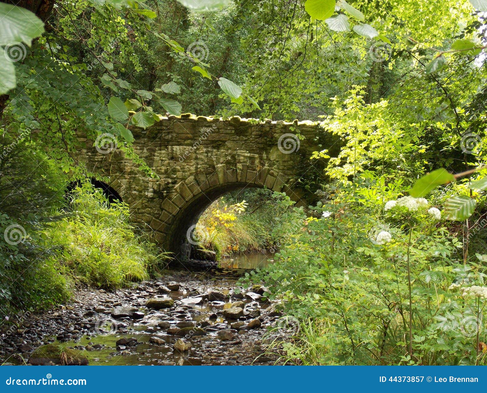 Old Bridge. stock image. Image of footbridges, embankment - 44373857
