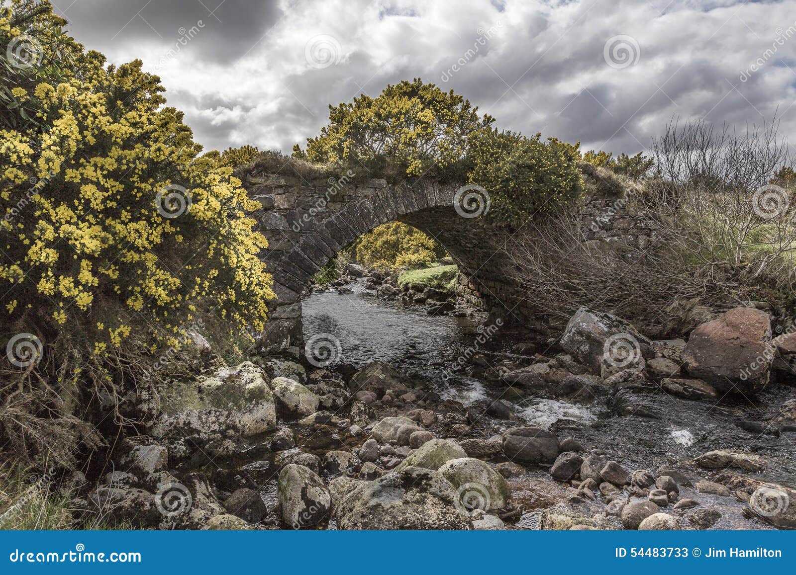 The Old Bridge stock image. Image of gray, county, gorse - 54483733