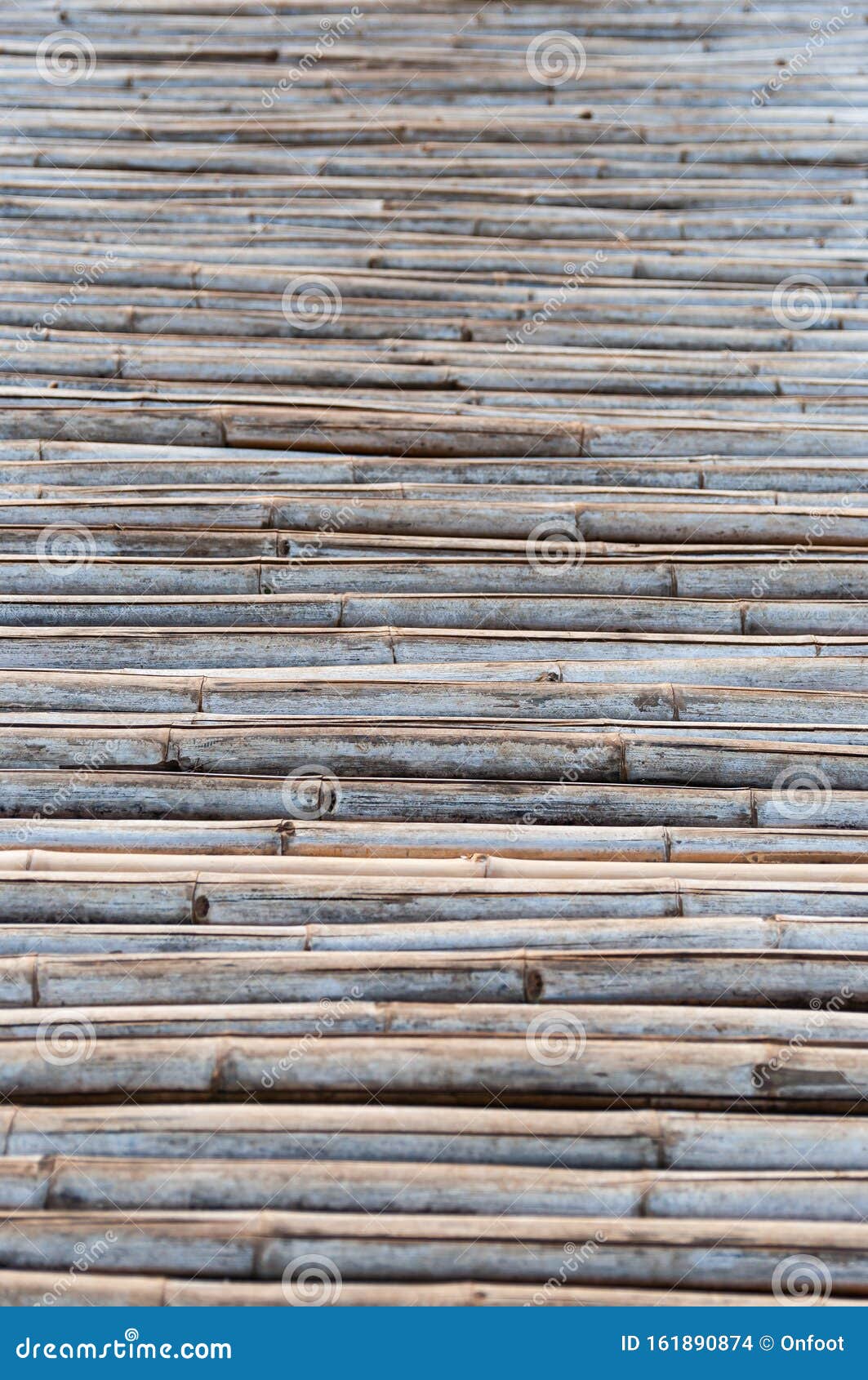 Old Bridge and Walkway Made of Parallel Bamboo Sticks Stock Photo ...
