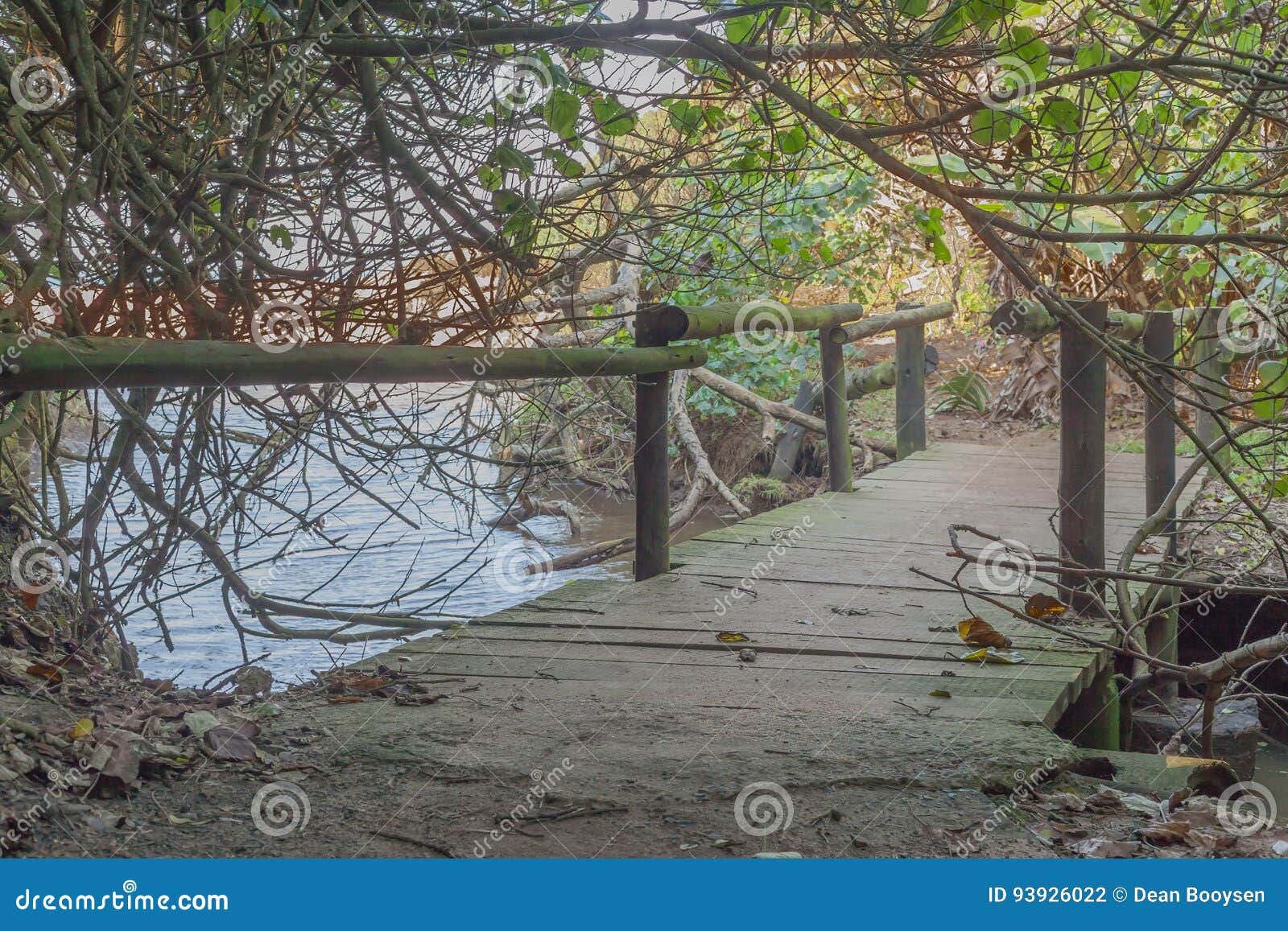 Old Bridge stock photo. Image of garden, seascapes, sand - 93926022