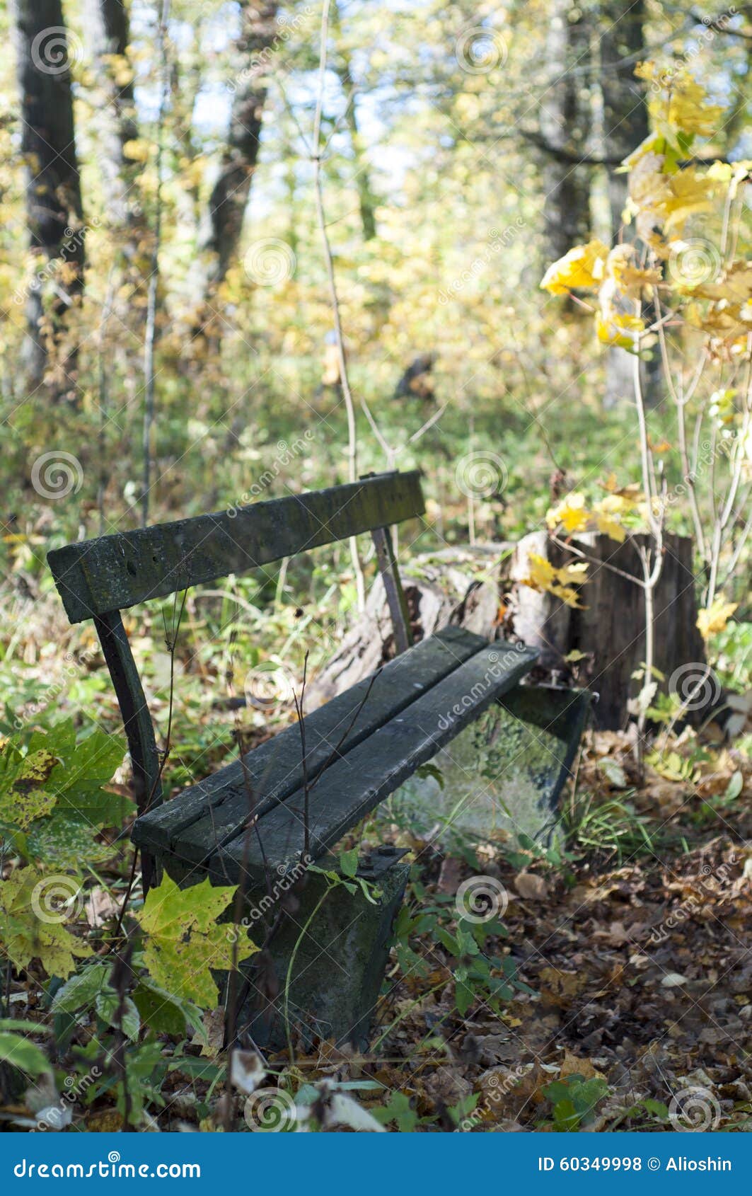 A Broken Bench And Rusty Fence Royalty-Free Stock Image | CartoonDealer ...