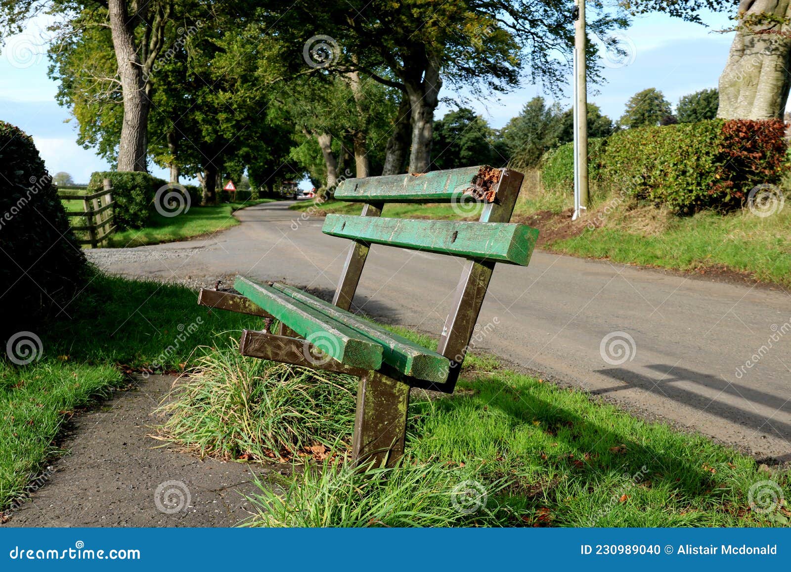 Broken Bench Royalty-Free Stock Photo | CartoonDealer.com #30998667