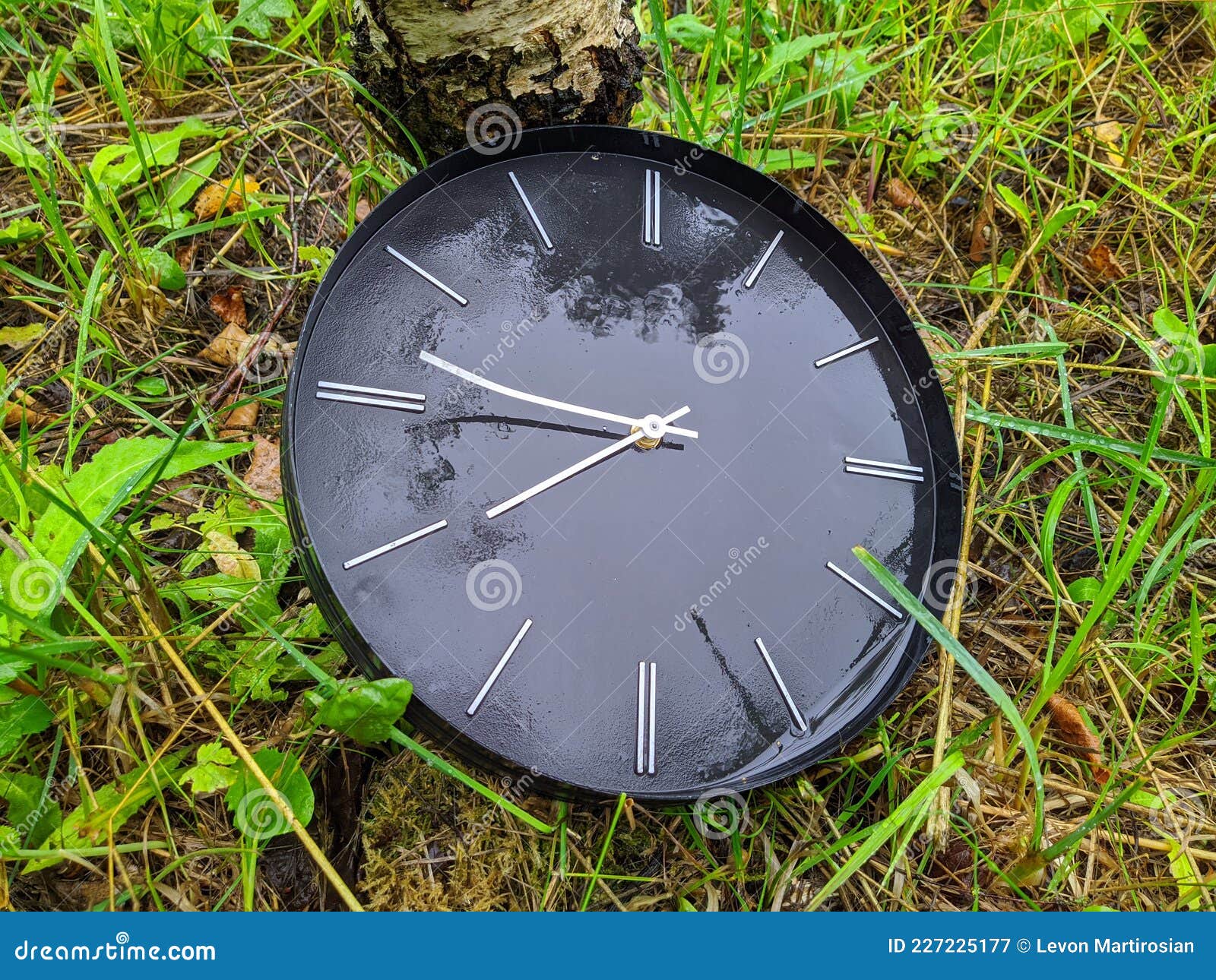 Old and Broken Black Clock in the Forest in Rainy Time. Stock Image ...