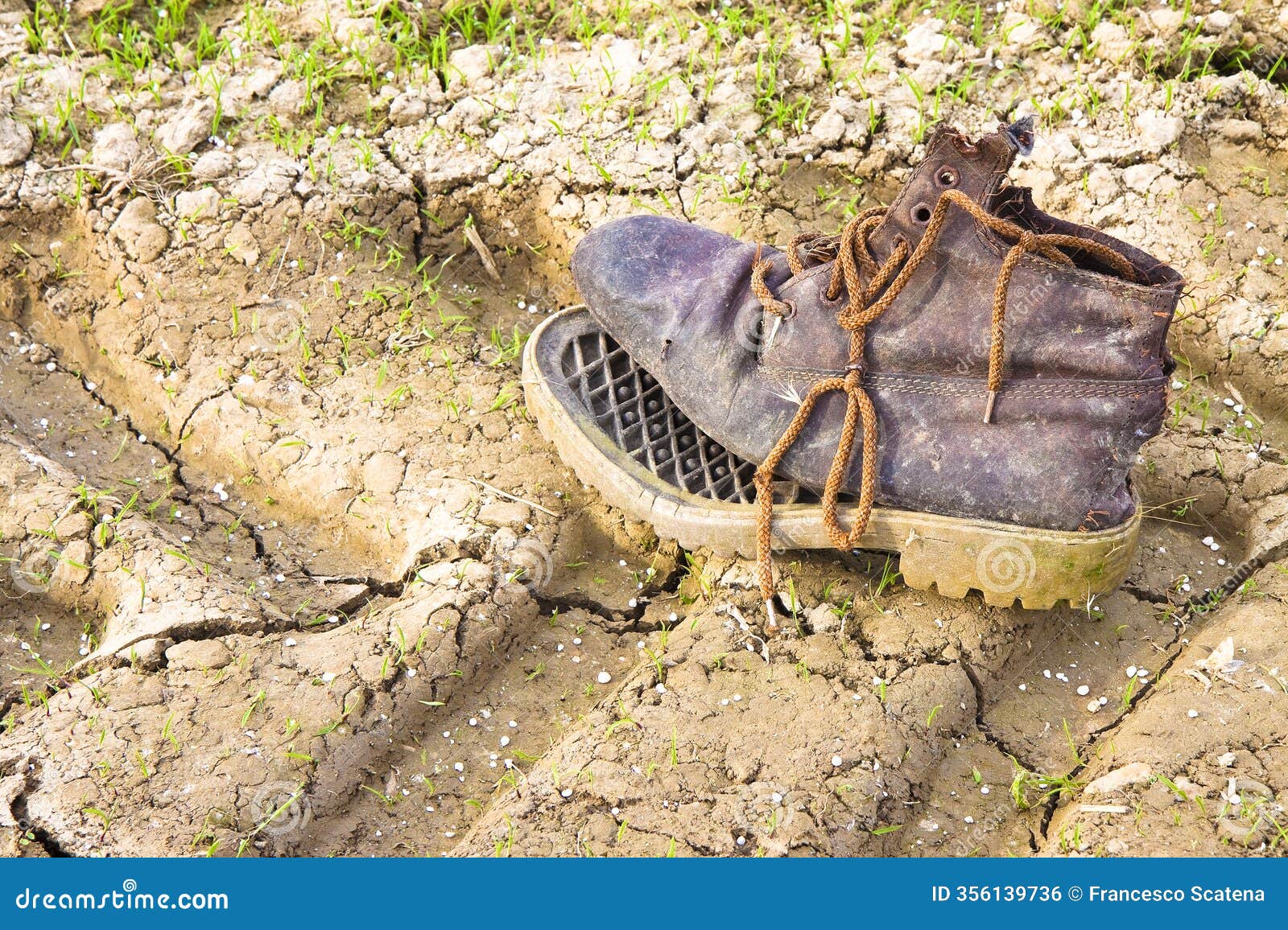 Old Broken Boot Abandoned in the Countryside Stock Photo - Image of ...