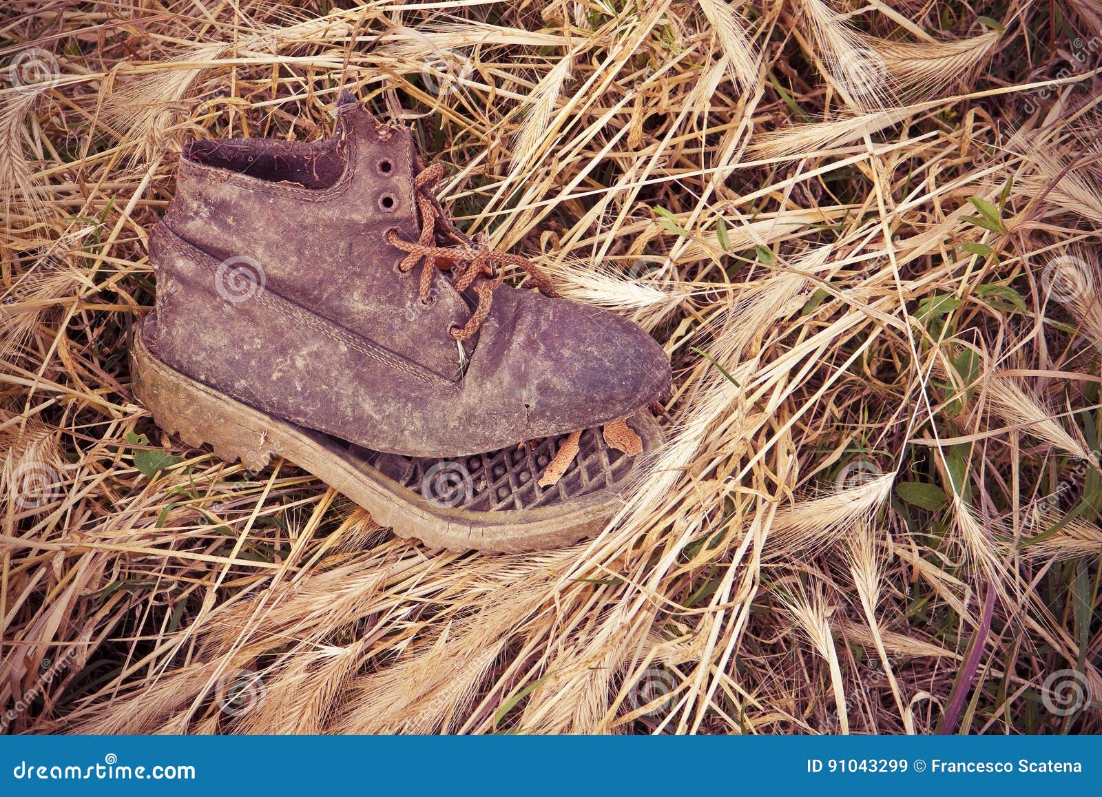 Old Broken Boot Abandoned In A Dry Grass Carpet - Poverty Concept ...