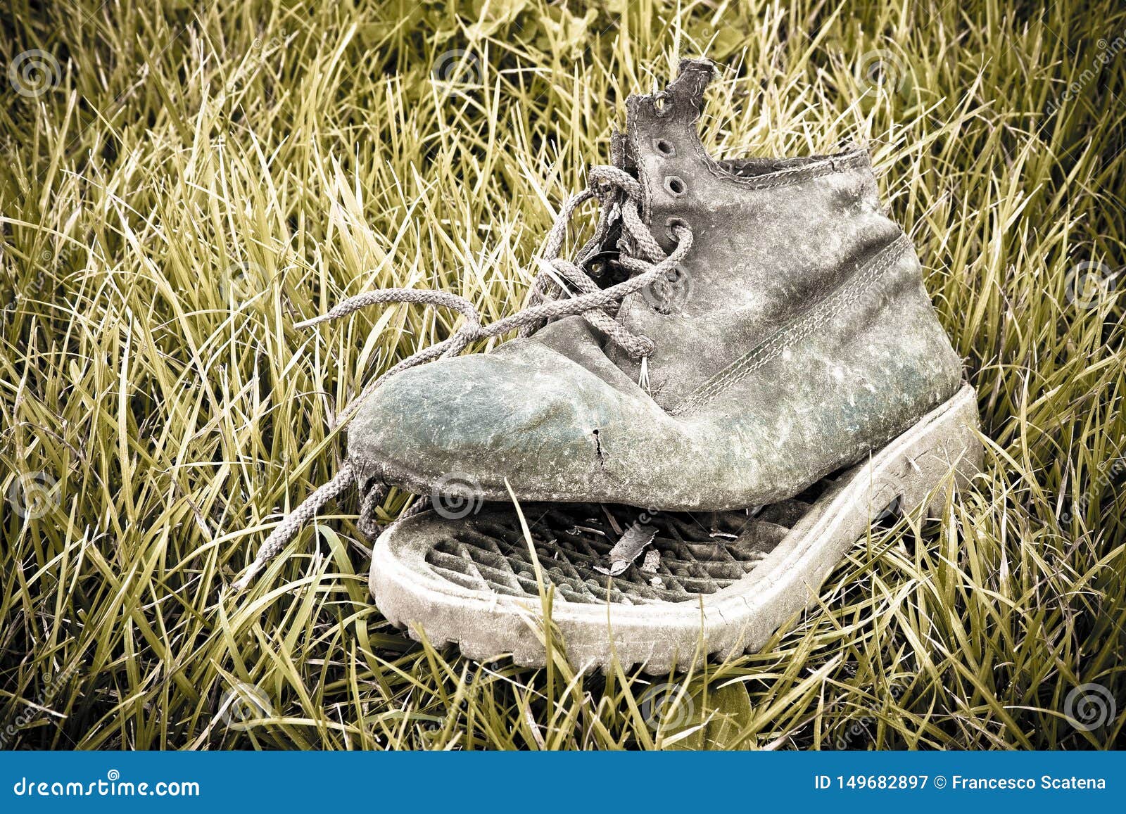 Old Broken Boot Abandoned in a Grass Carpet Stock Image - Image of ...