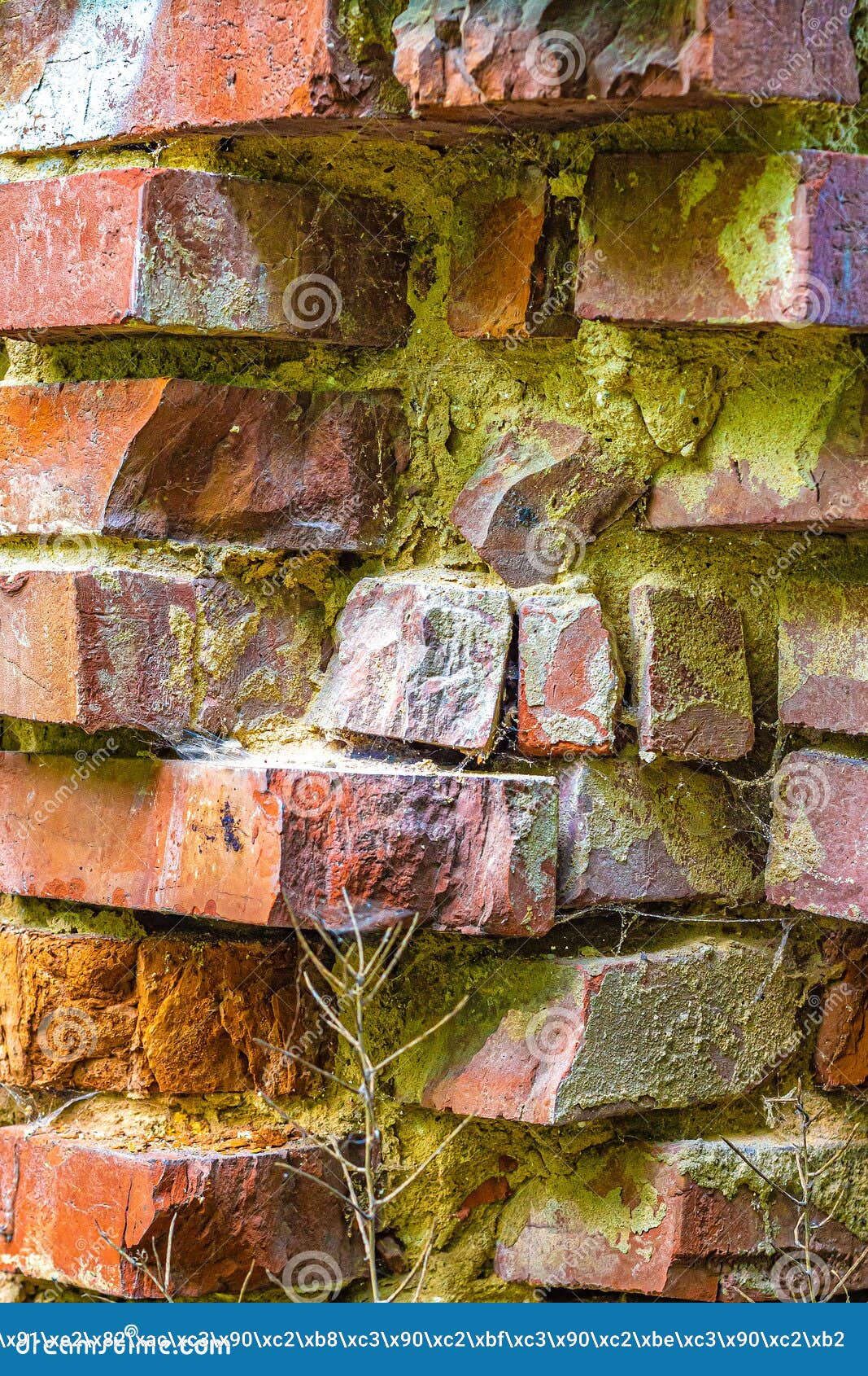 Old Broken Brickwork with Moss Sprouting on the Cement Stock Image ...
