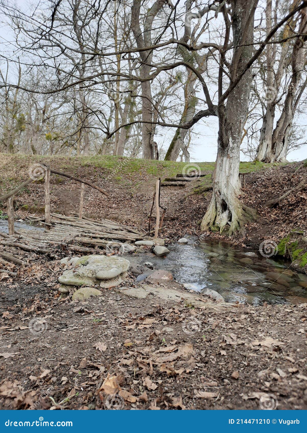 Old Broken Bridge Over Stream in Forest Stock Photo - Image of bridge ...