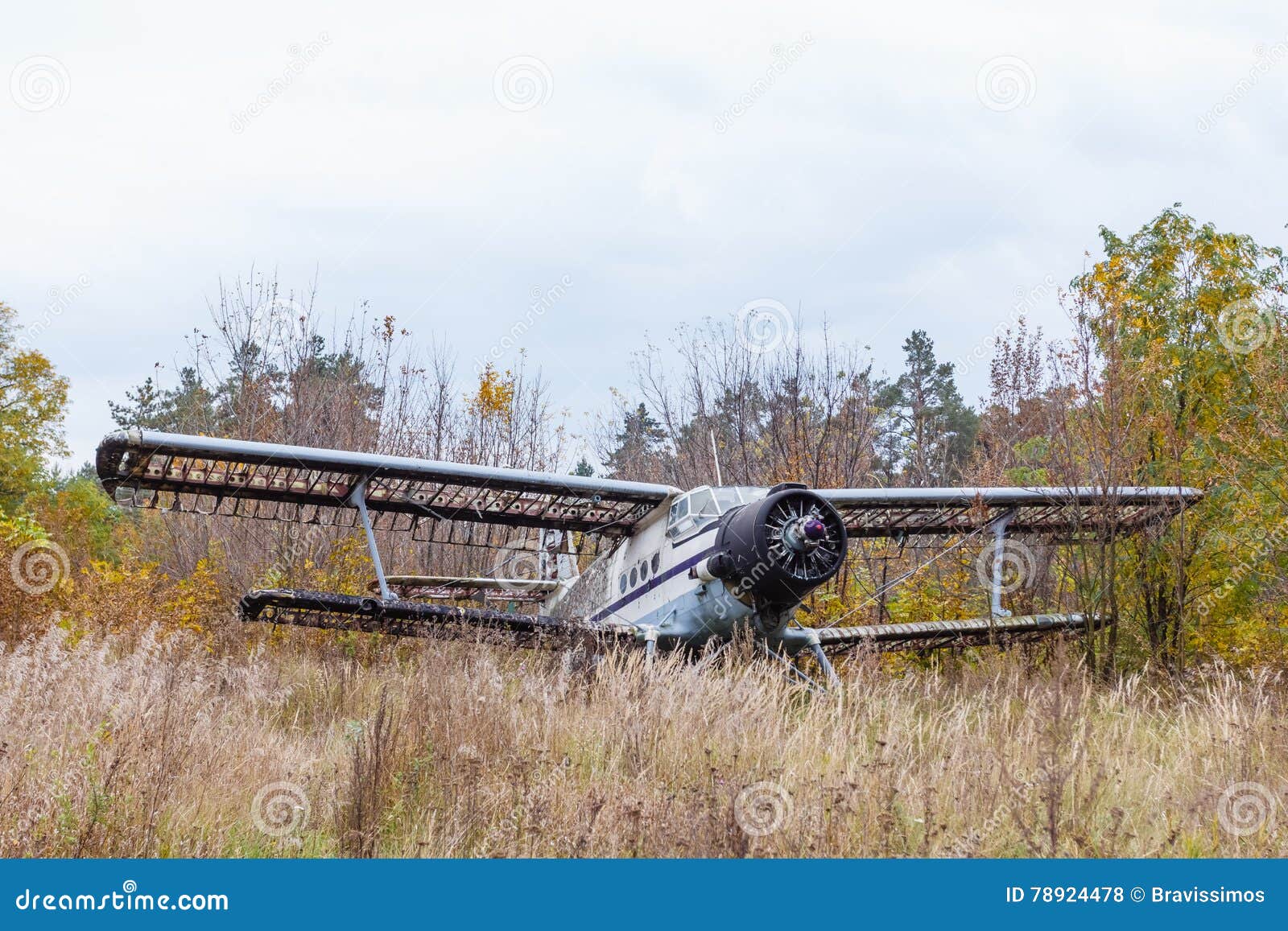 Airplane With Broken Windows Hanging From The Ceiling Royalty-Free ...
