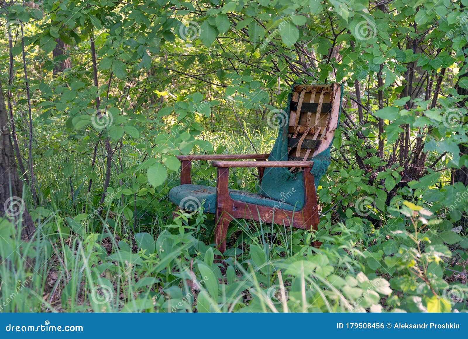 Old Broken Chair Stands Alone in a Thicket of Green Forest Stock Photo ...