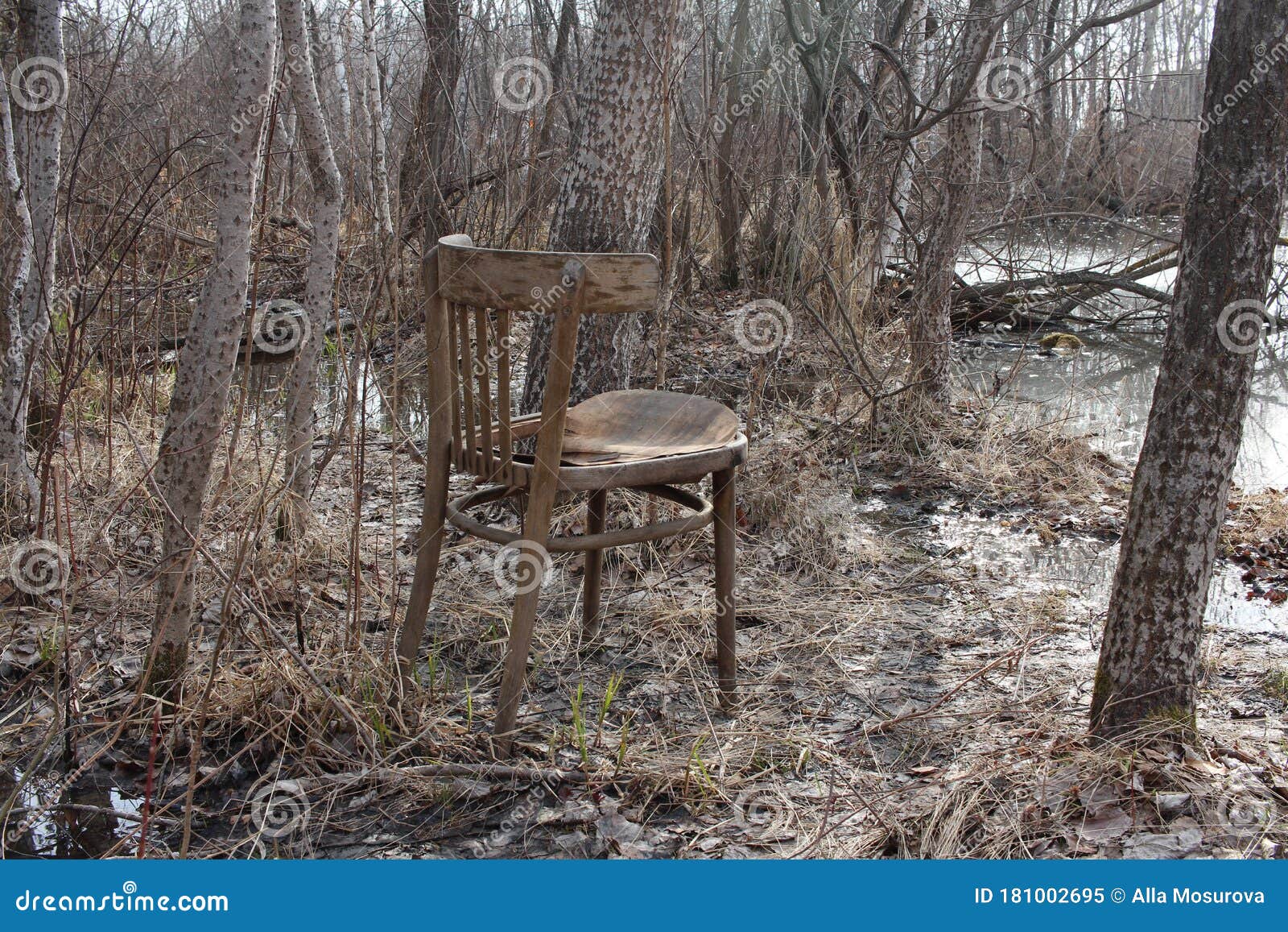 An Old Broken Chair in the Woods on the Lake Thrown Away Unnecessary ...