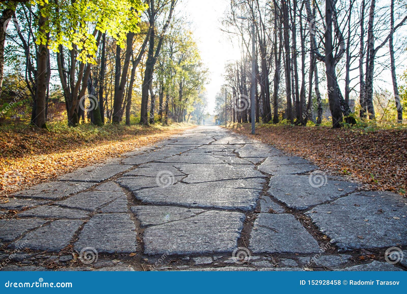 Old Broken Concrete Road on Autumn Day Stock Photo - Image of green ...
