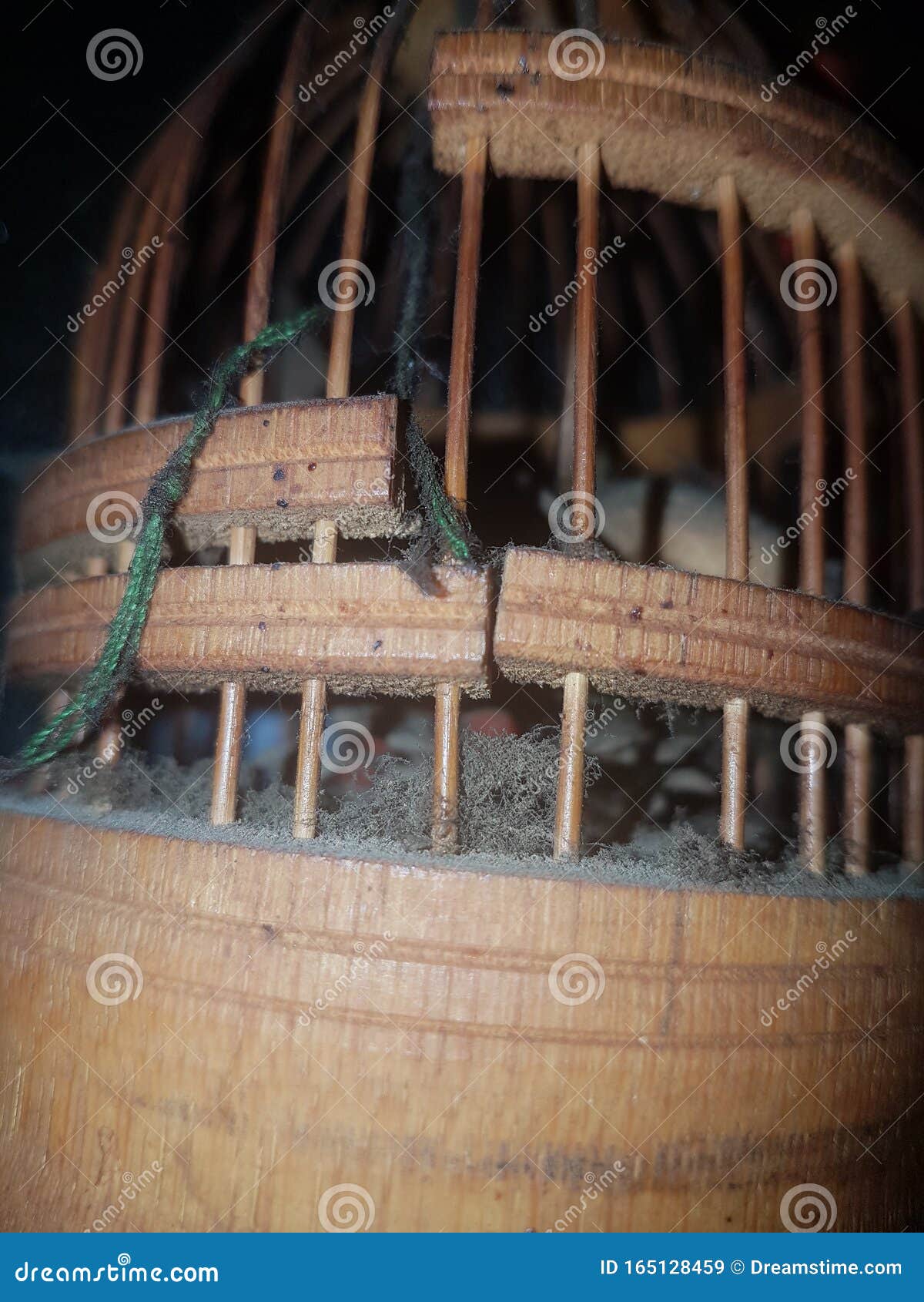 831 Broken Cage Photos - Free & Royalty-Free Stock Photos from Dreamstime