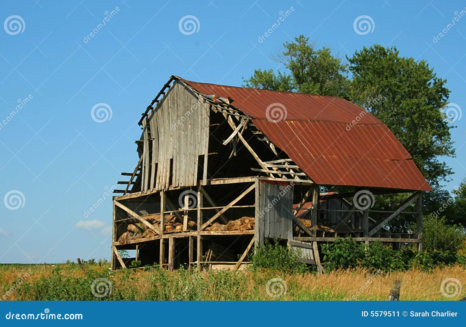 Old Broken Down Hay Barn stock image. Image of farm, fall - 5579511