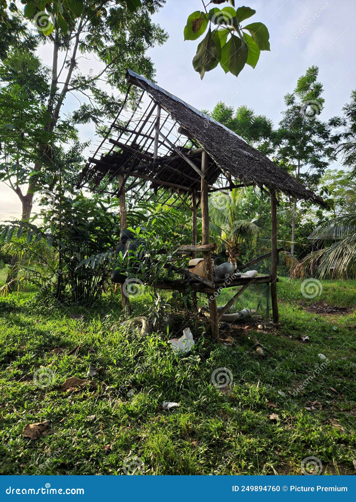 Old Broken Hut in a Swamp Forest Stock Photo - Image of forest, broken ...