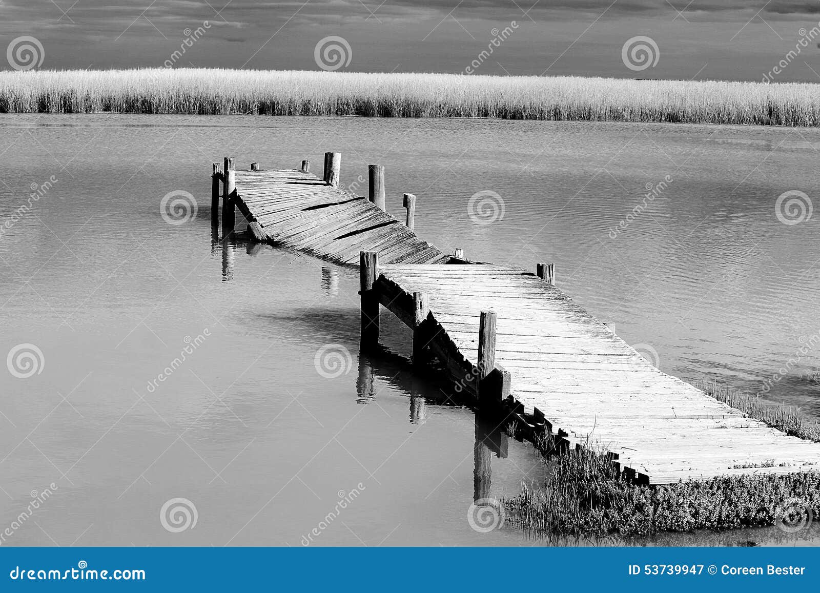 Old broken jetty stock image. Image of ground, winter - 53739947