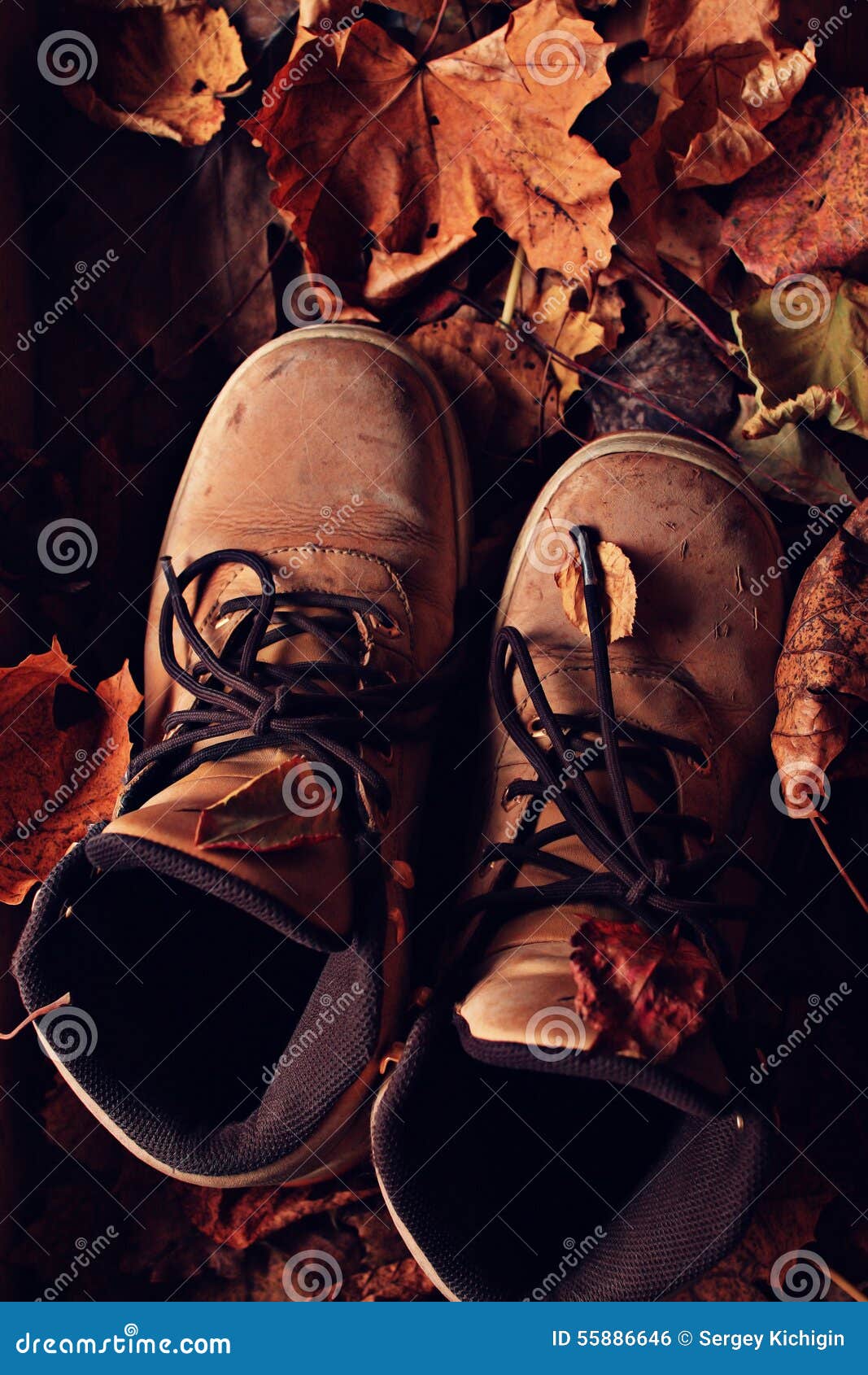 Old broken leather shoes stock photo. Image of idyll - 55886646