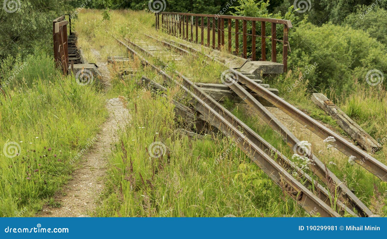 An Old and Broken Overgrown Railway Stock Image - Image of jungle ...