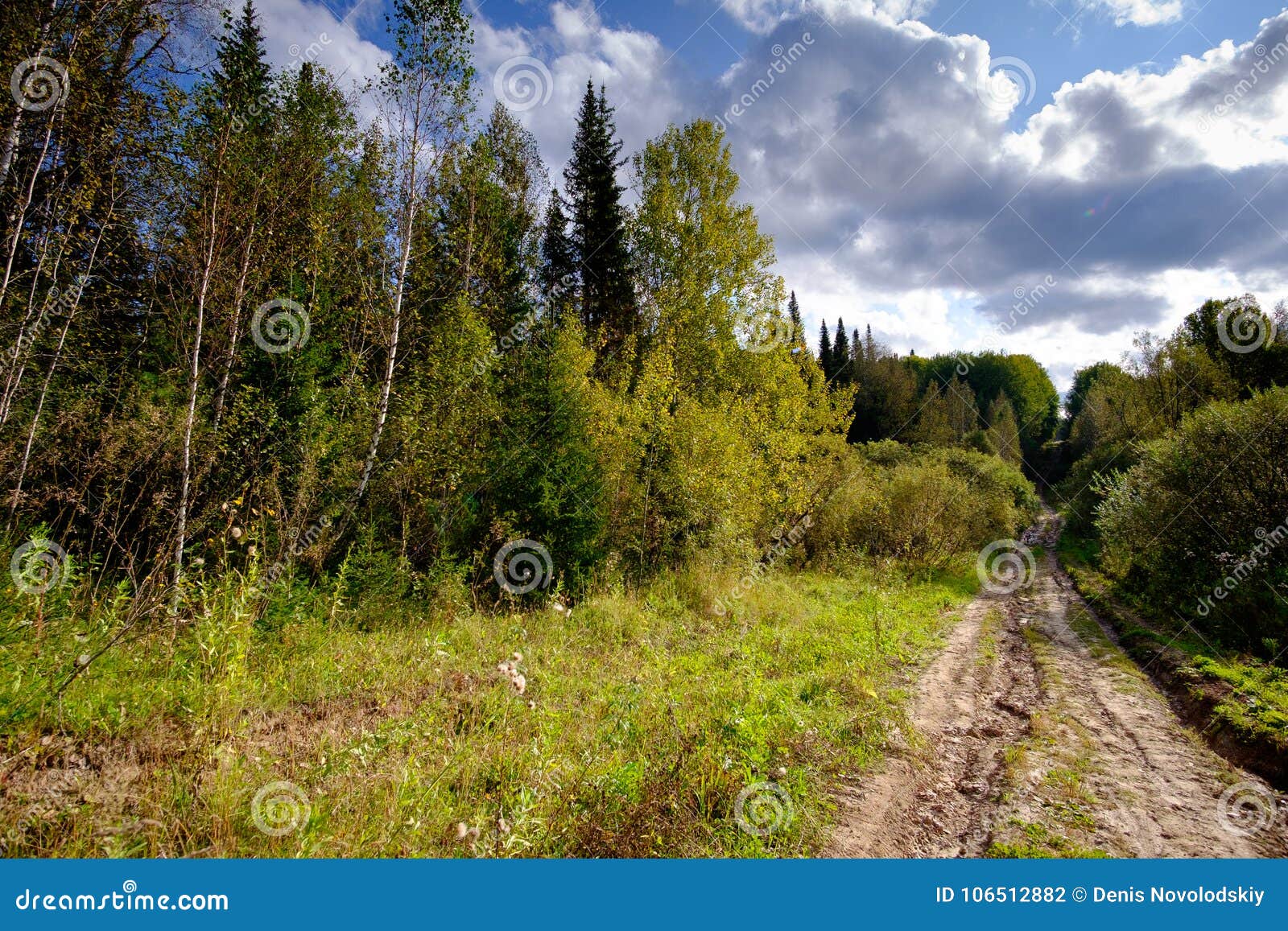 Old broken way stock photo. Image of jungle, enchanted - 106512882