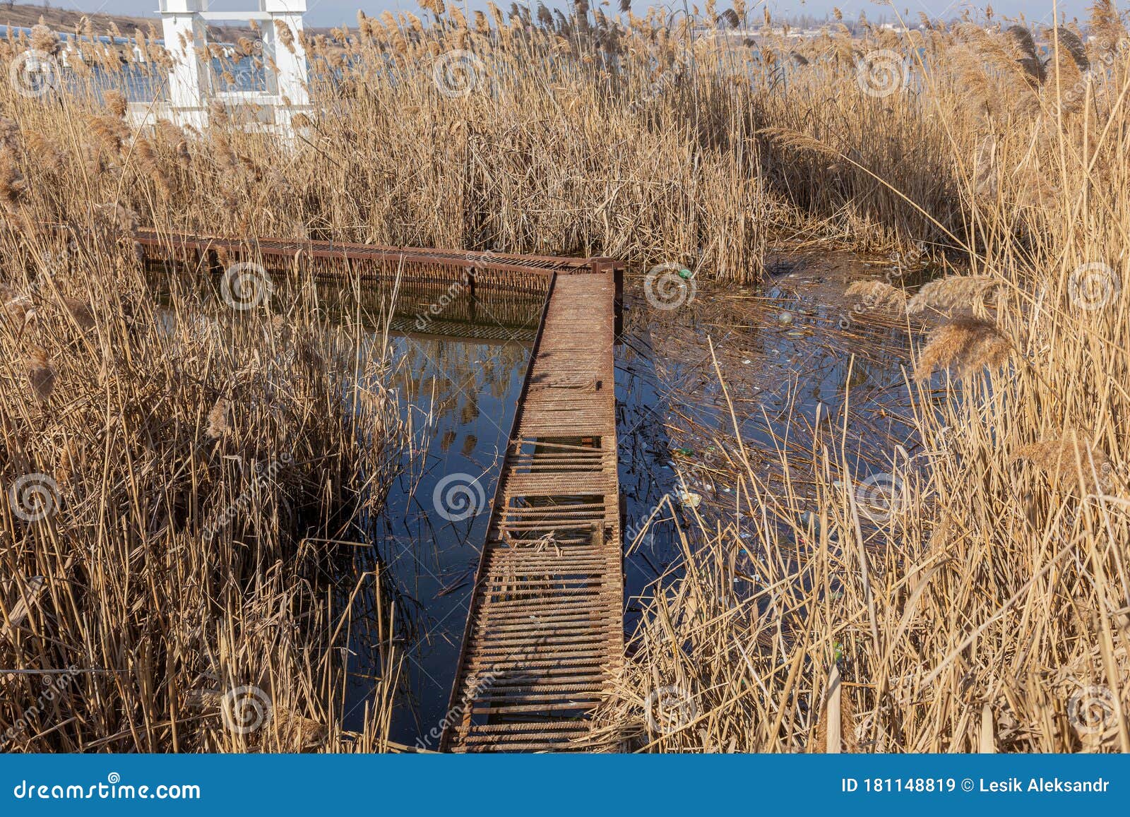 Old Broken Rusty Bridge in the Reeds for Fishermen. Rusty Metal Stock ...