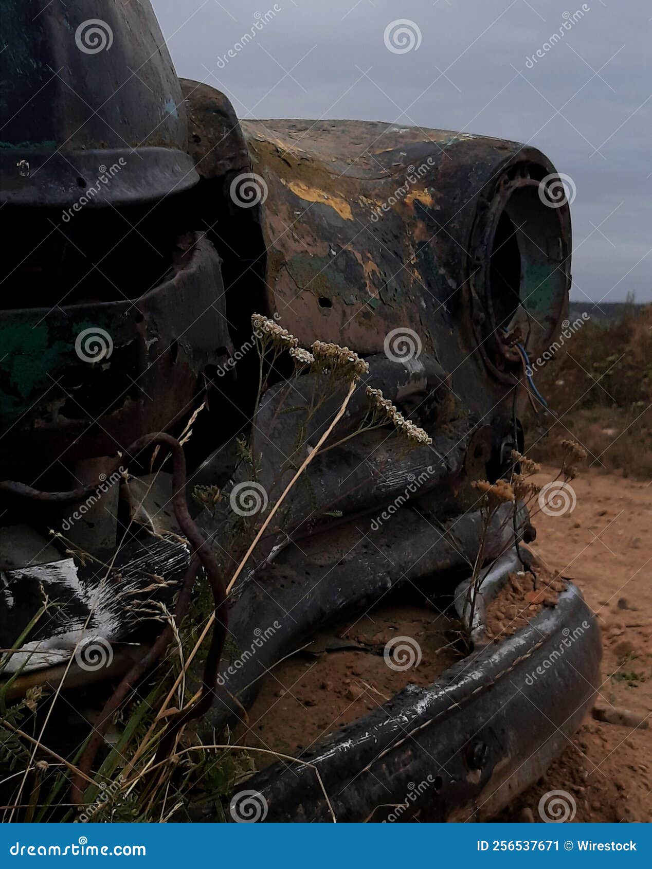 Old broken rusty car stock image. Image of driver, rural - 256537671