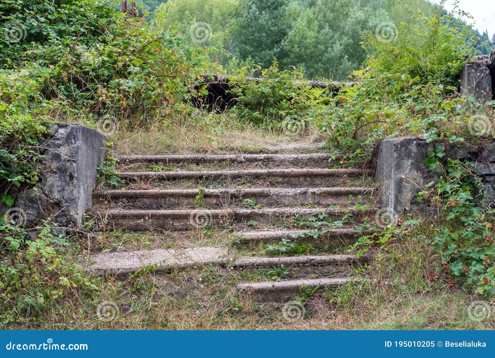 An Old Broken Stairs Surrounded by the Nature Stock Image - Image of ...