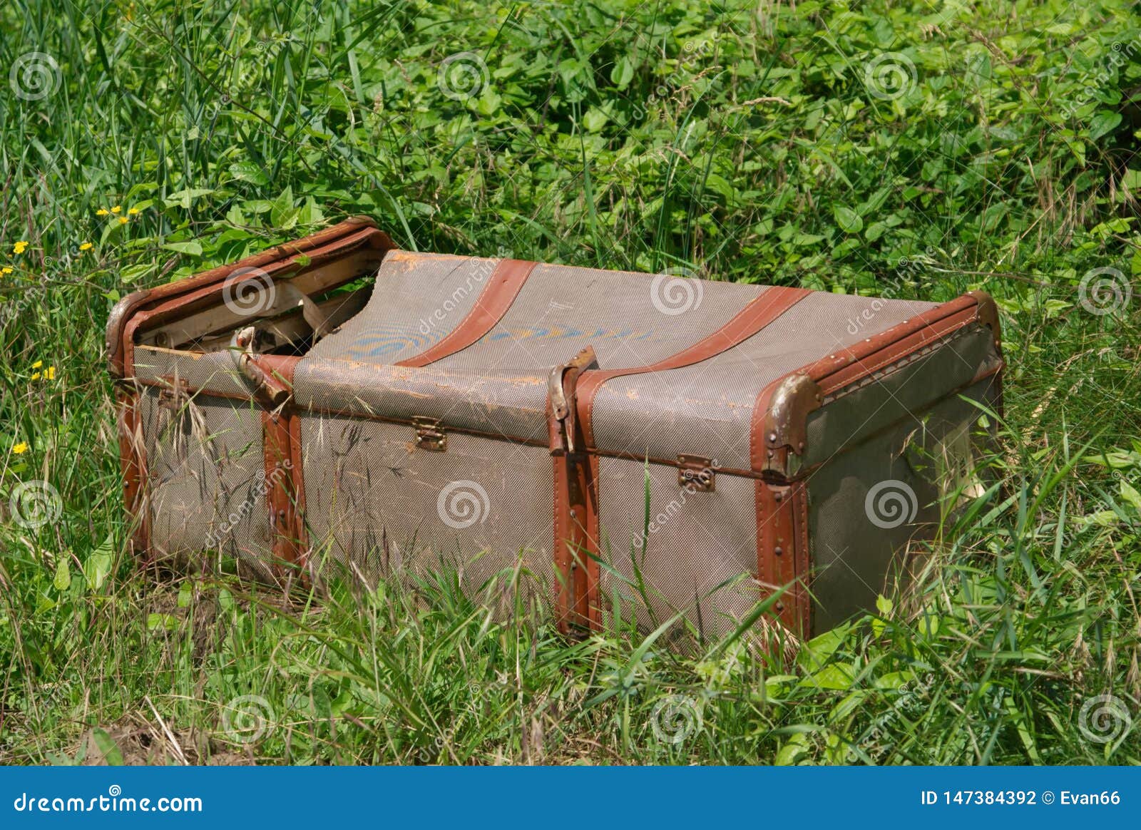 An Old Broken Suitcase in the Grass Stock Photo - Image of case, grunge ...