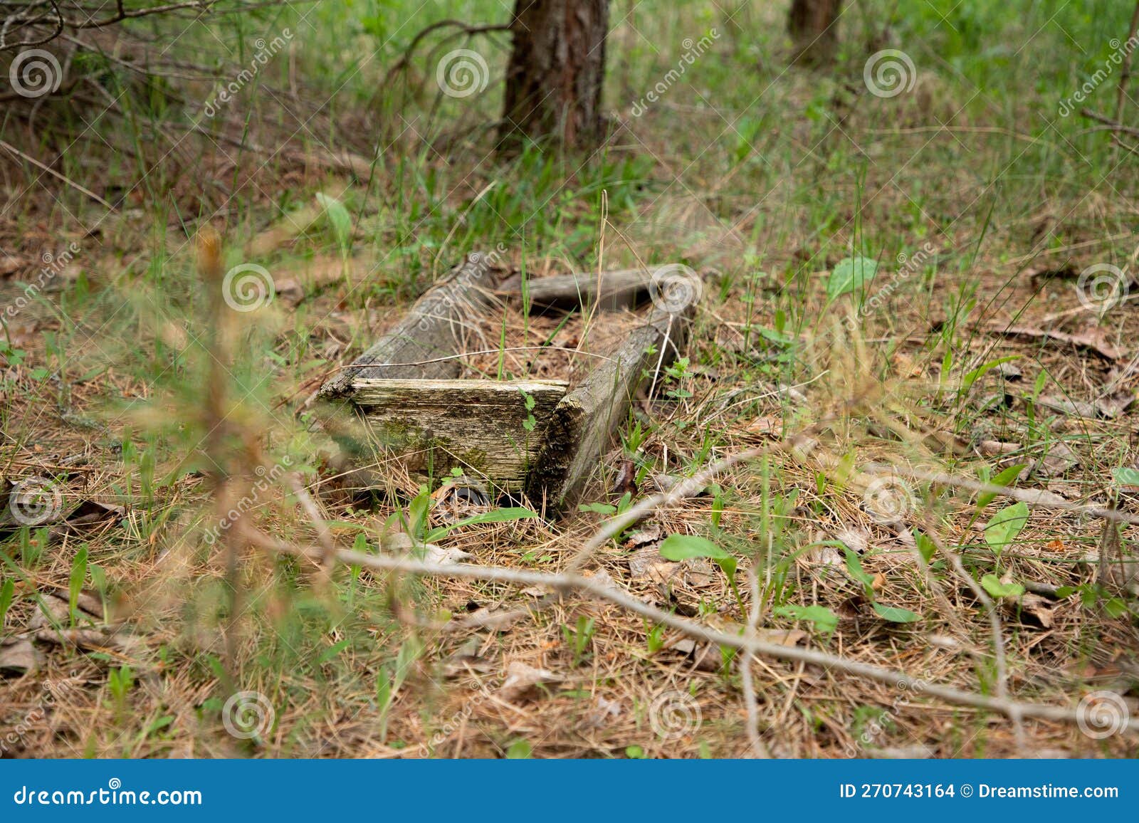 Broken Trough in the Forest, Garbage, Environmental Pollution Stock ...