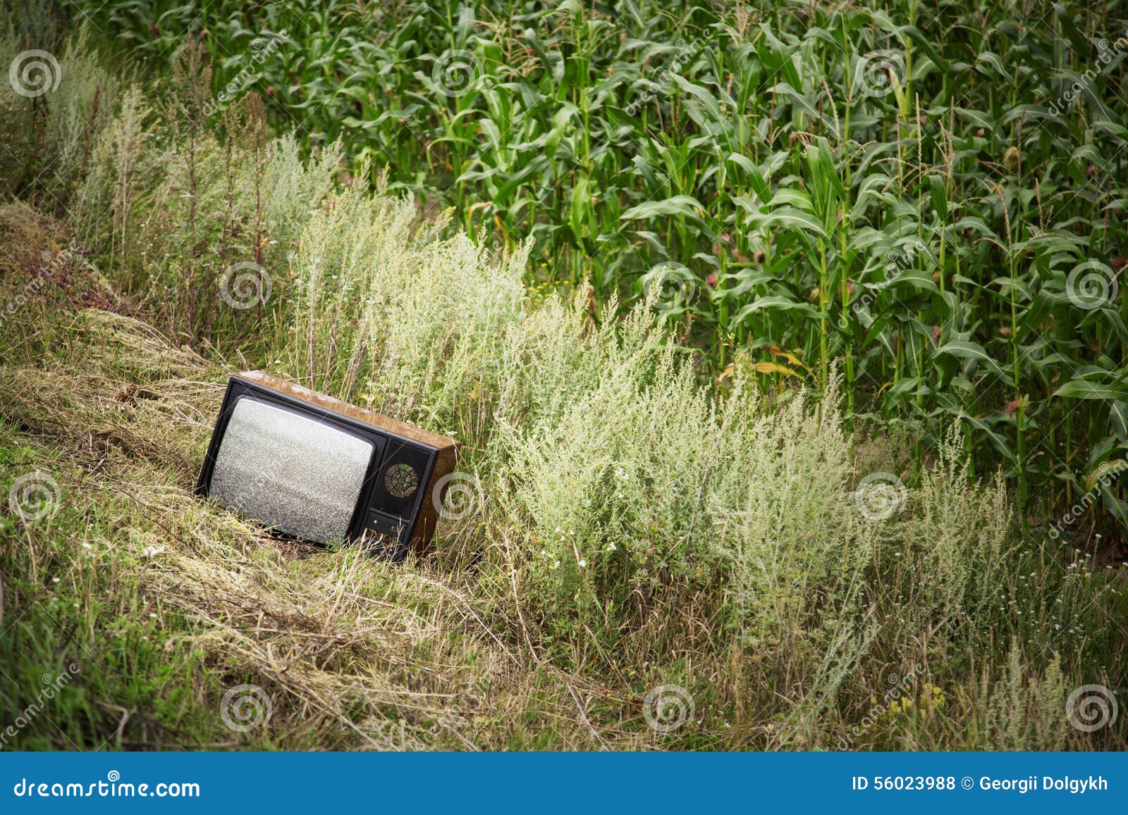Old broken TV in the field stock photo. Image of electronic - 56023988