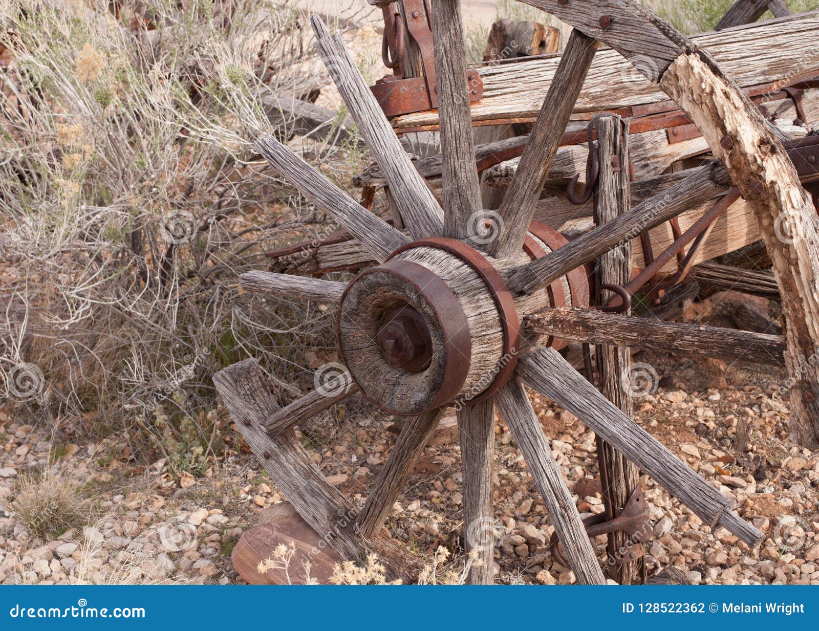 Old Broken Wagon Wheel and Desert Plants Stock Photo - Image of broken ...