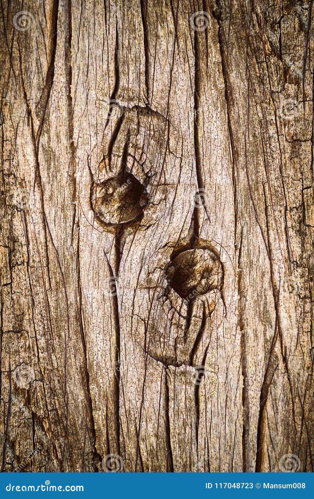 Old Broken Wood Plank Texture Stock Image - Image of floor, hardwood ...