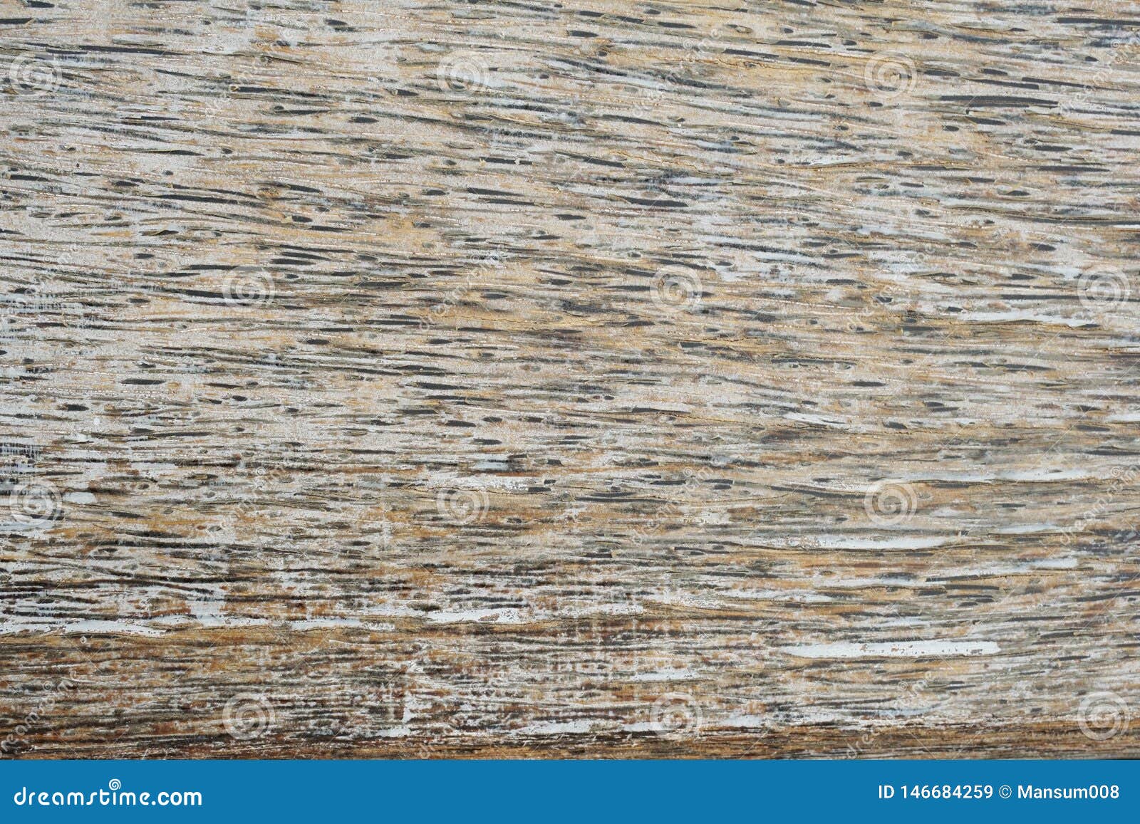 Old Broken Wood Plank Texture Stock Image - Image of texture, wooden ...