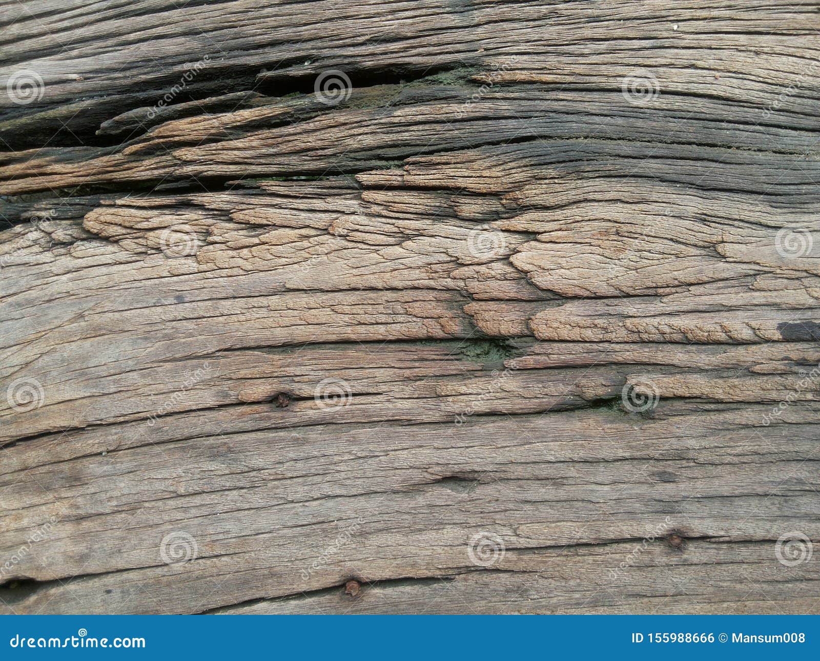 Old Broken Wood Plank Texture Stock Photo - Image of timber, retro ...