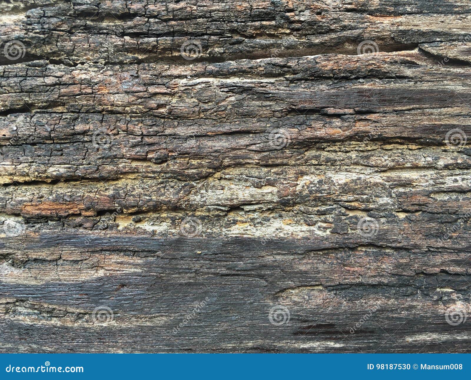 Old Broken Wood Plank Texture Stock Photo - Image of textured, rough ...