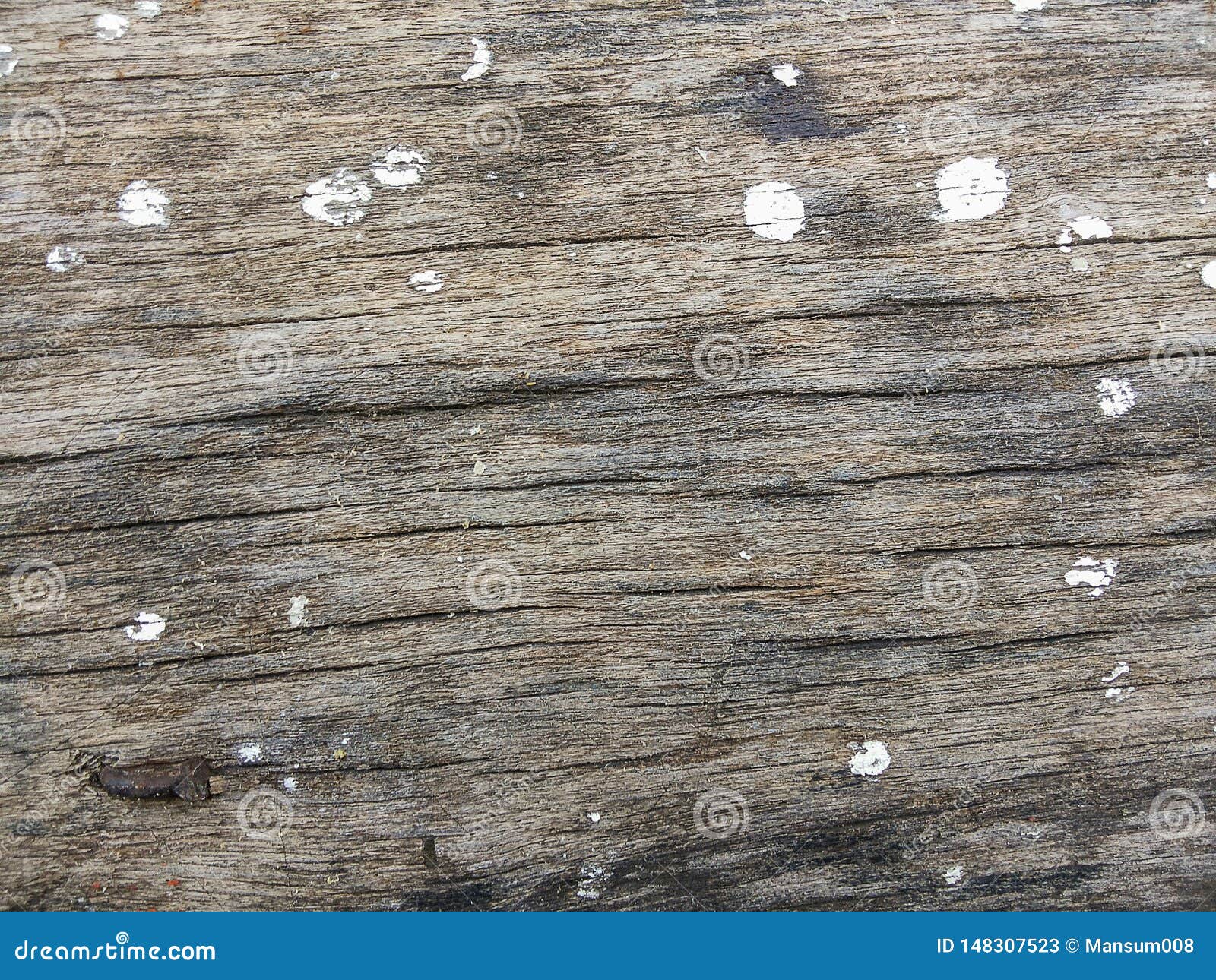 Old Broken Wood Plank Texture Stock Image - Image of abstract, wall ...