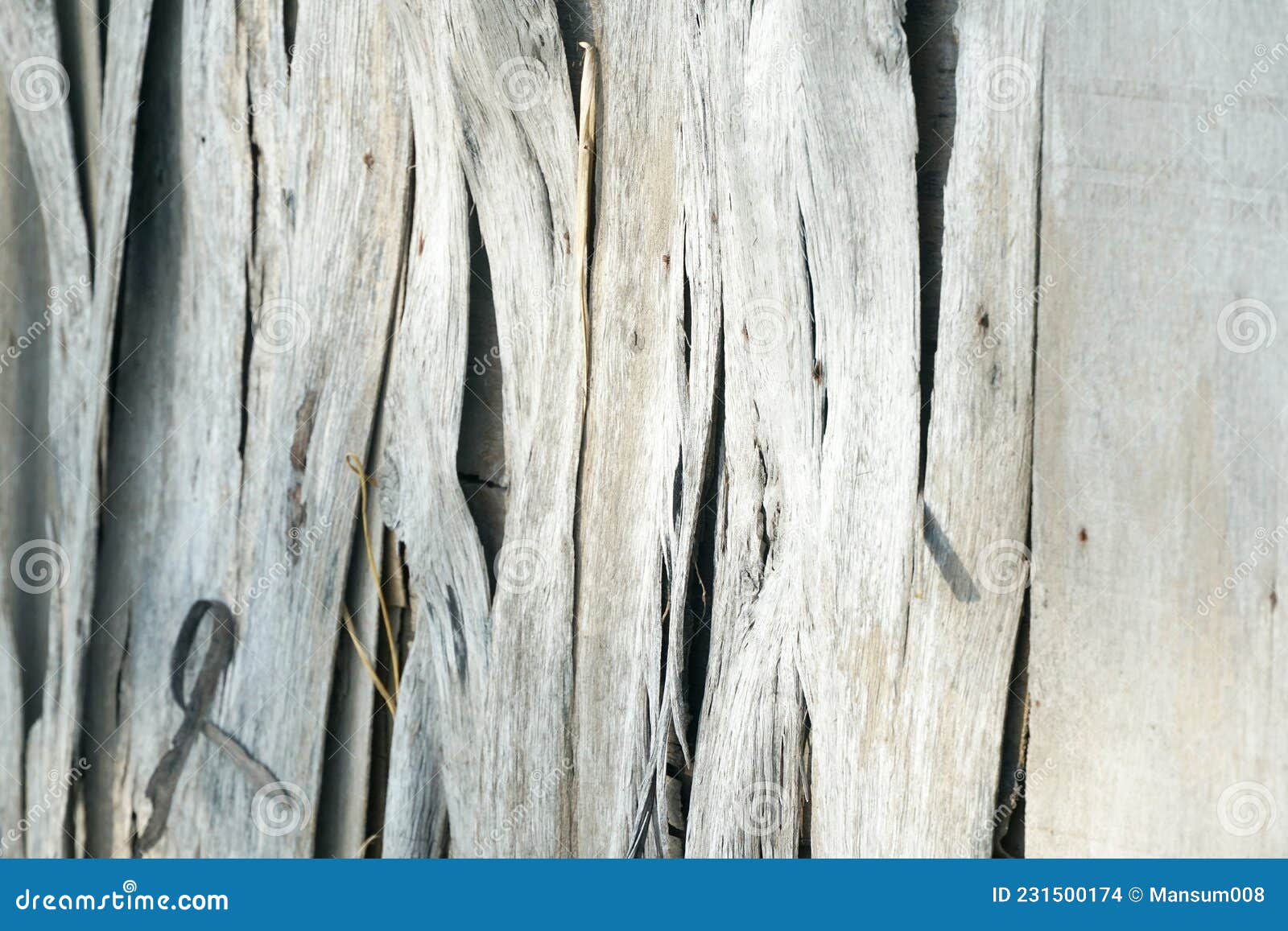 Old Broken Wood Plank Texture Stock Photo - Image of weathered, ragged ...