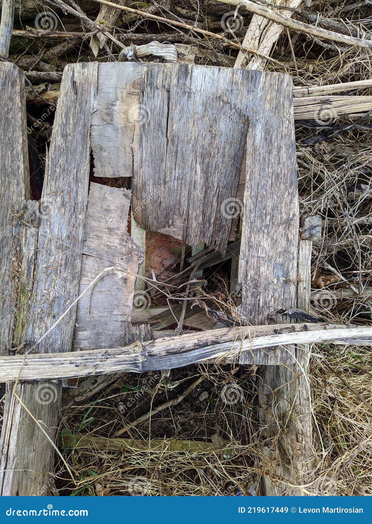 Old and Broken Wooden Chair in the Woods Stock Image - Image of chair ...