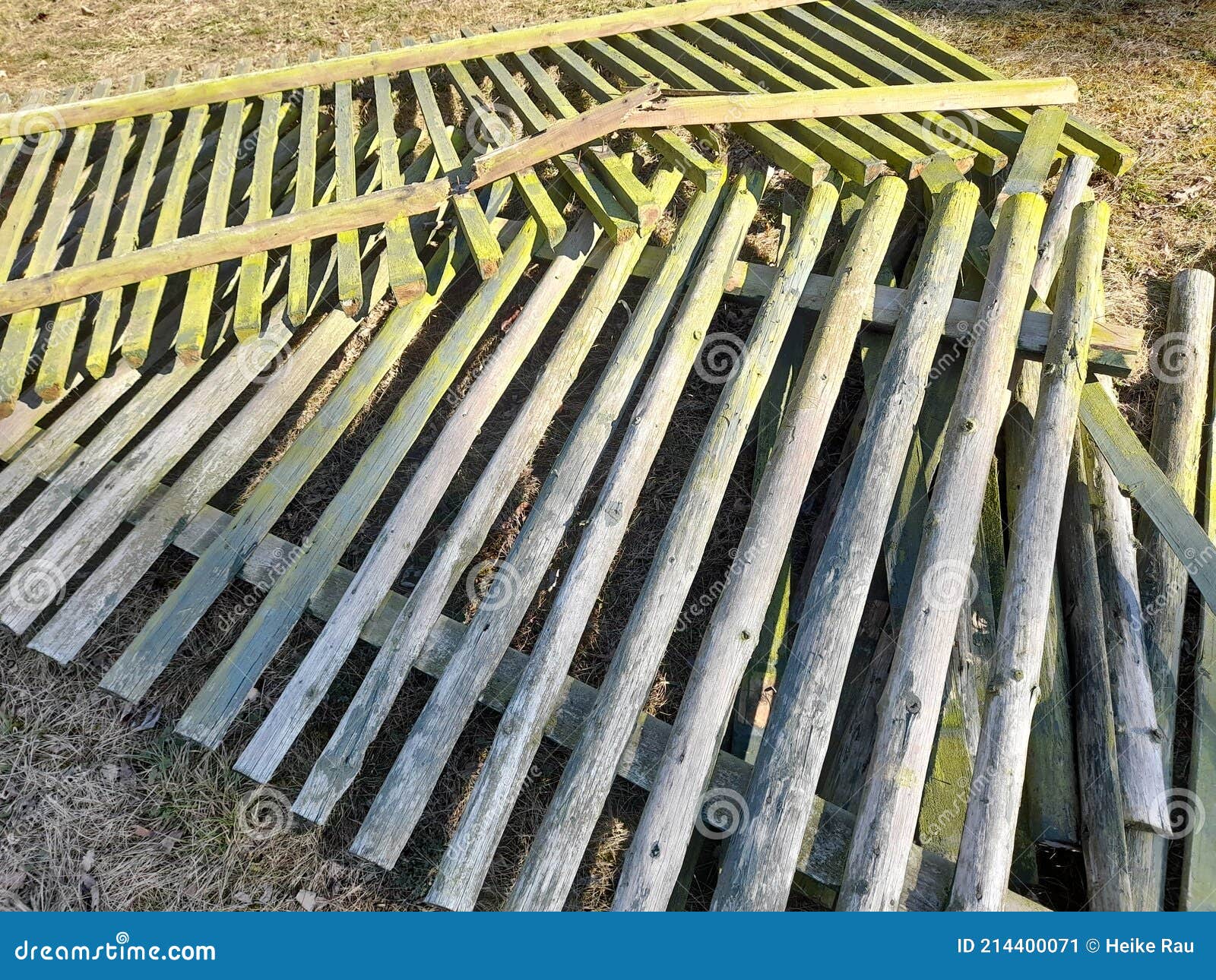 Old and Broken Wooden Fence Panels Stock Image - Image of wood, panels ...
