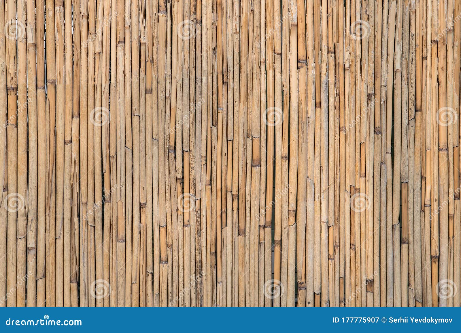 Old Brown Bamboo Background. Wall Of Bamboo. Rural Rustic Background ...