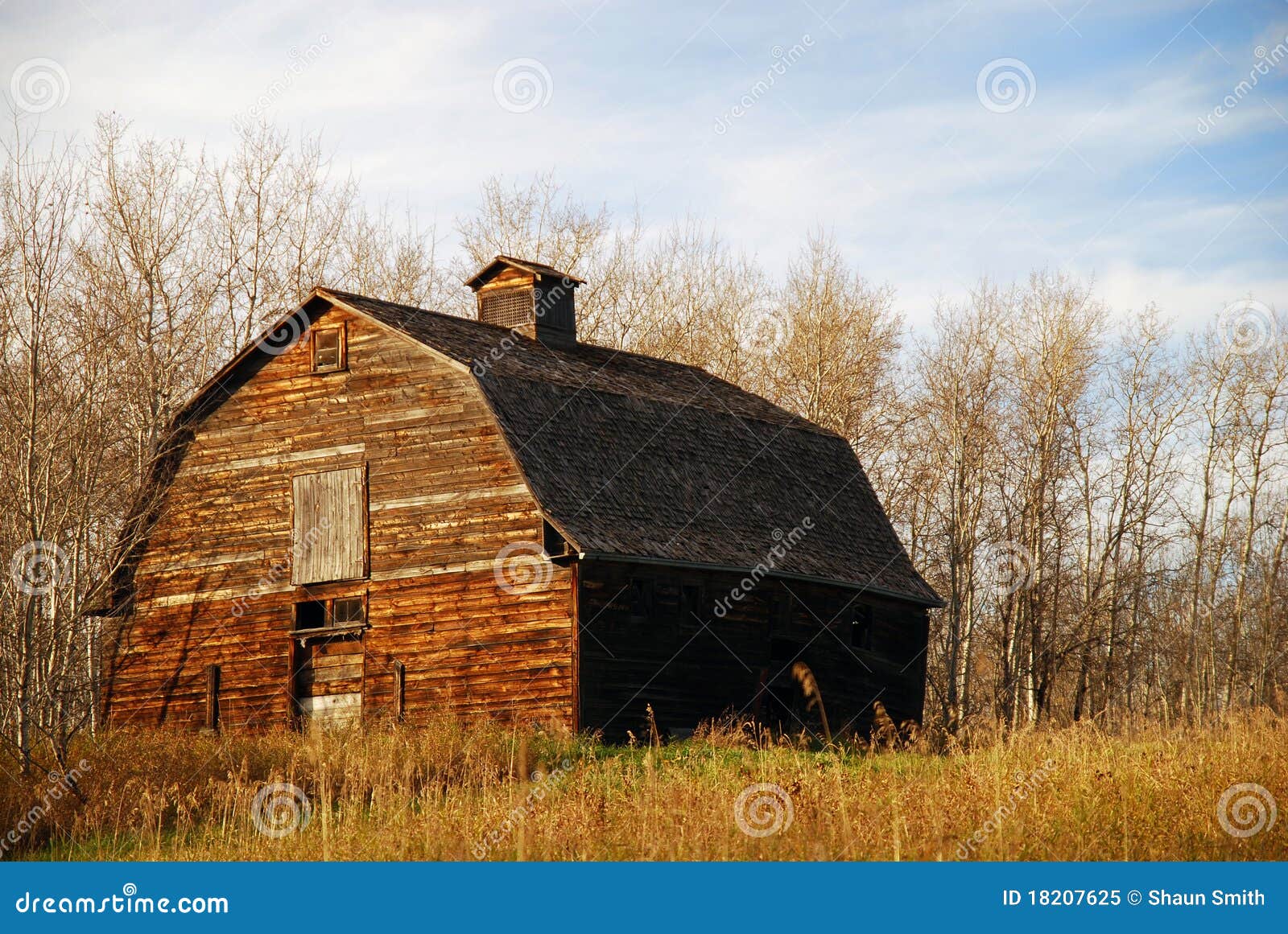 Old Brown Barn in Sunlight stock image. Image of wood - 18207625