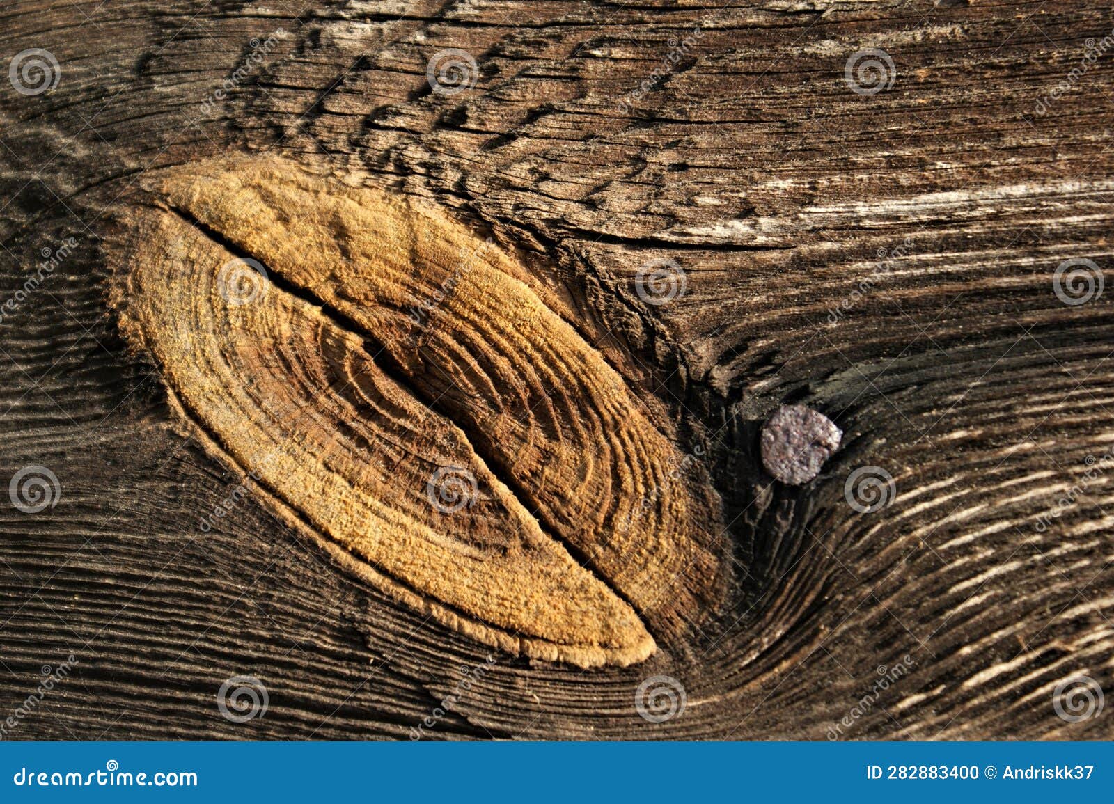 Wooden Board Structure. Old Brown Cracked Board. Stock Photo - Image of ...