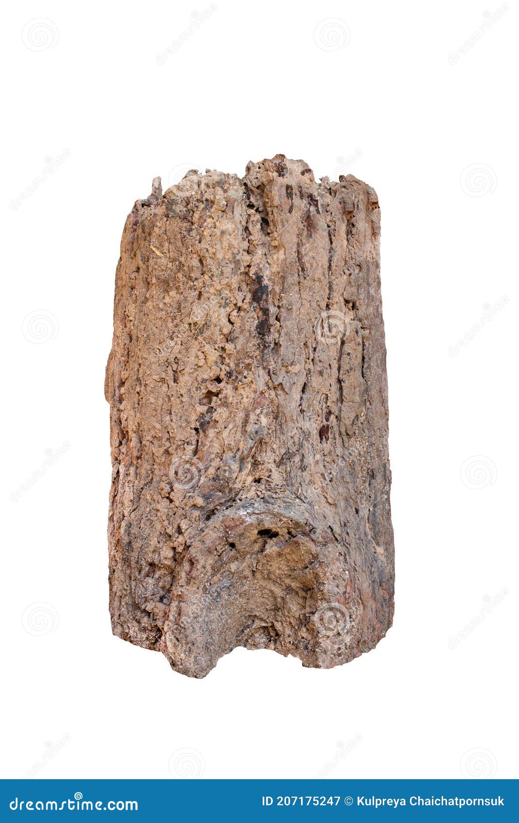 Old Brown Log Isolated on White Background Stock Image - Image of brown ...