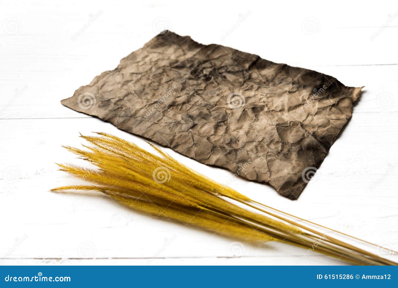 Old brown paper and wheat stock photo. Image of grow - 61515286