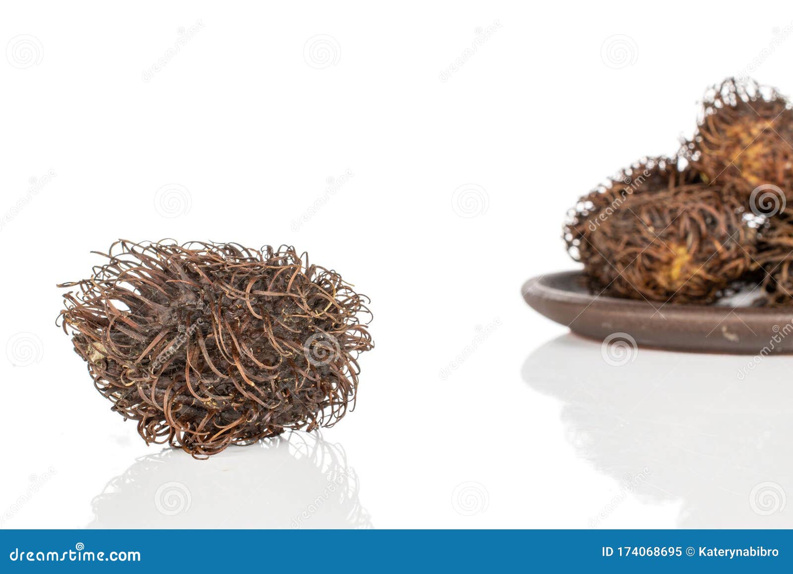 Old Brown Rambutan Isolated on White Stock Image - Image of natural ...