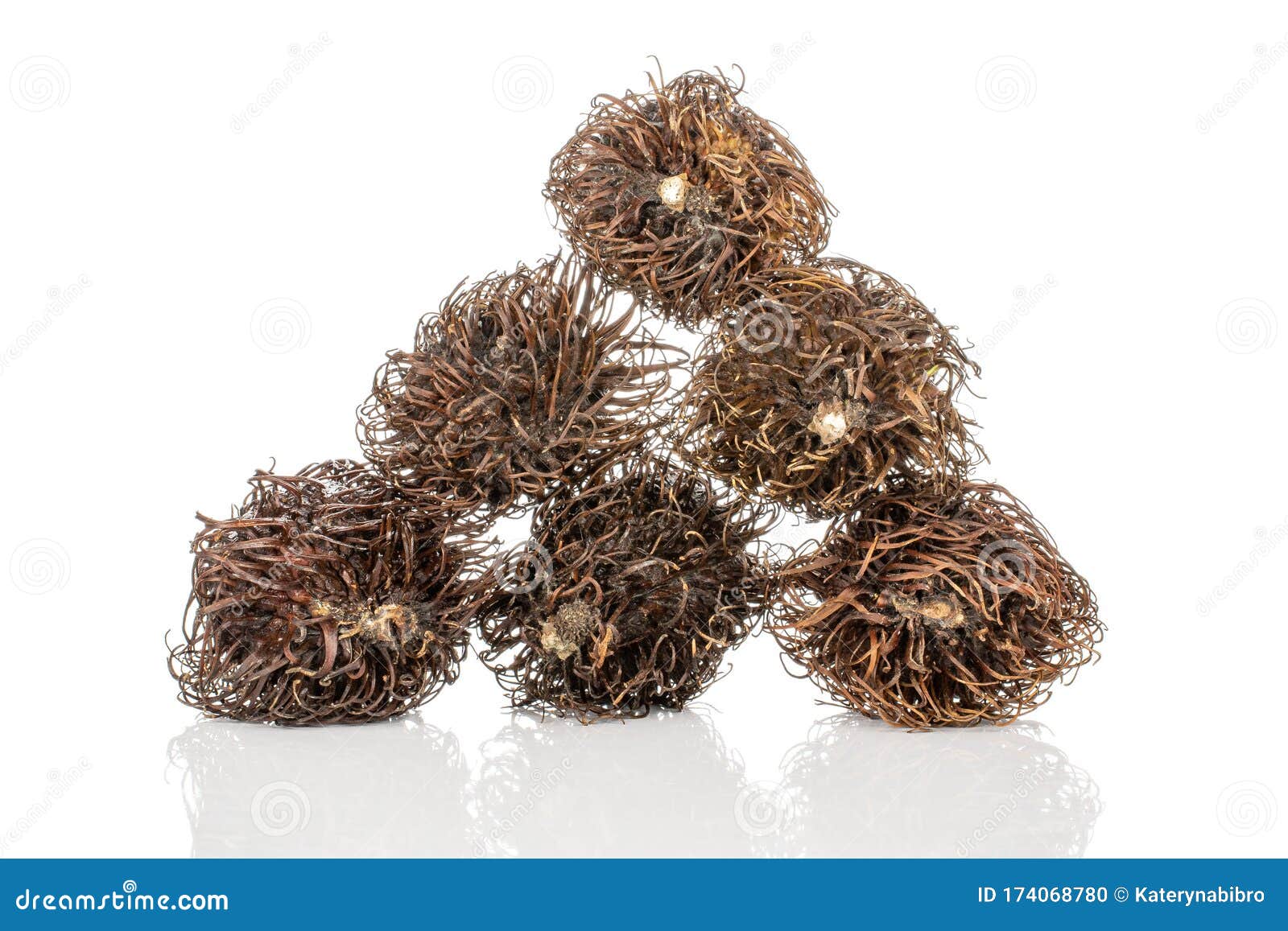 Old Brown Rambutan Isolated on White Stock Photo - Image of close ...