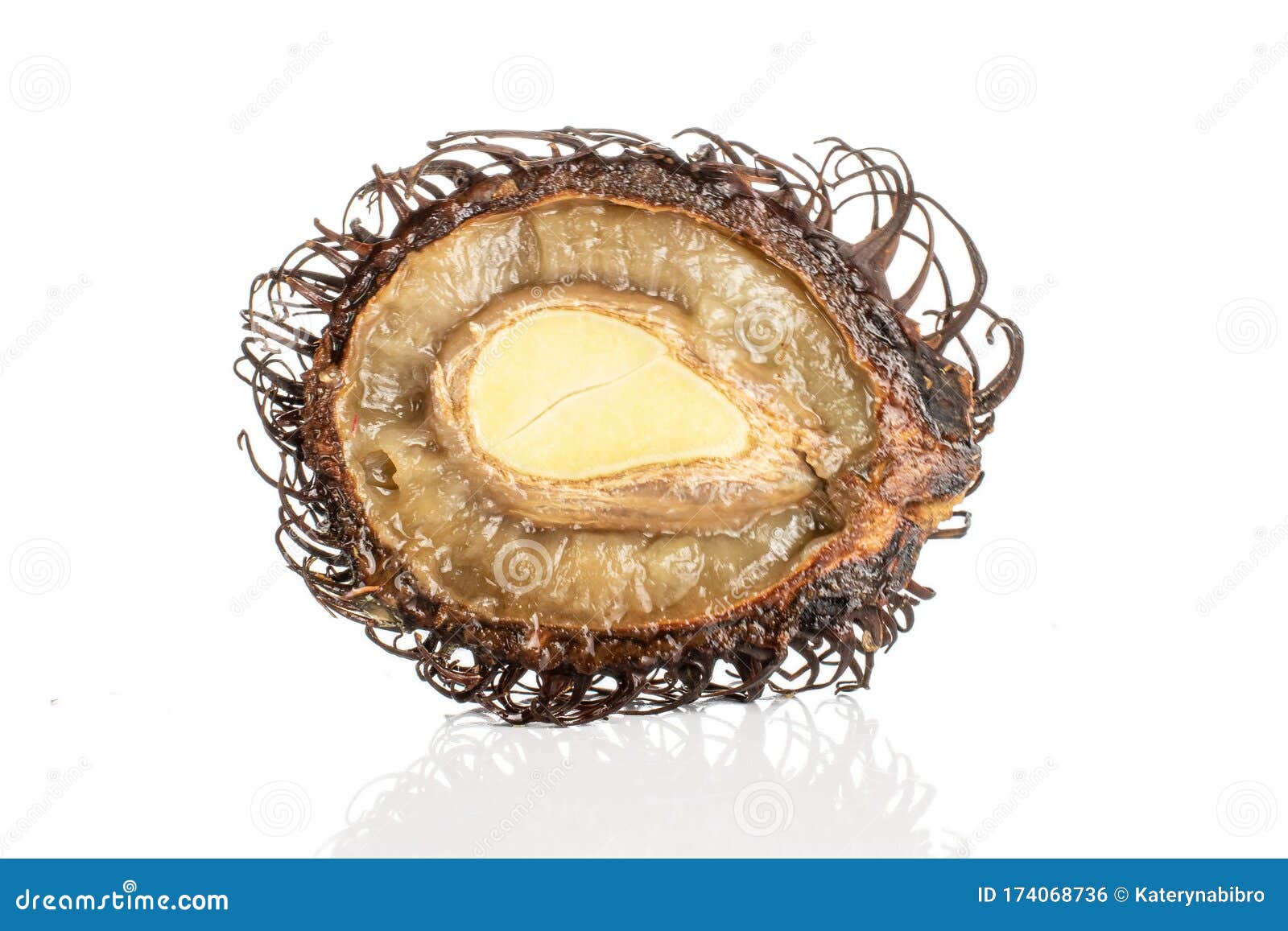 Old Brown Rambutan Isolated on White Stock Photo - Image of asian ...