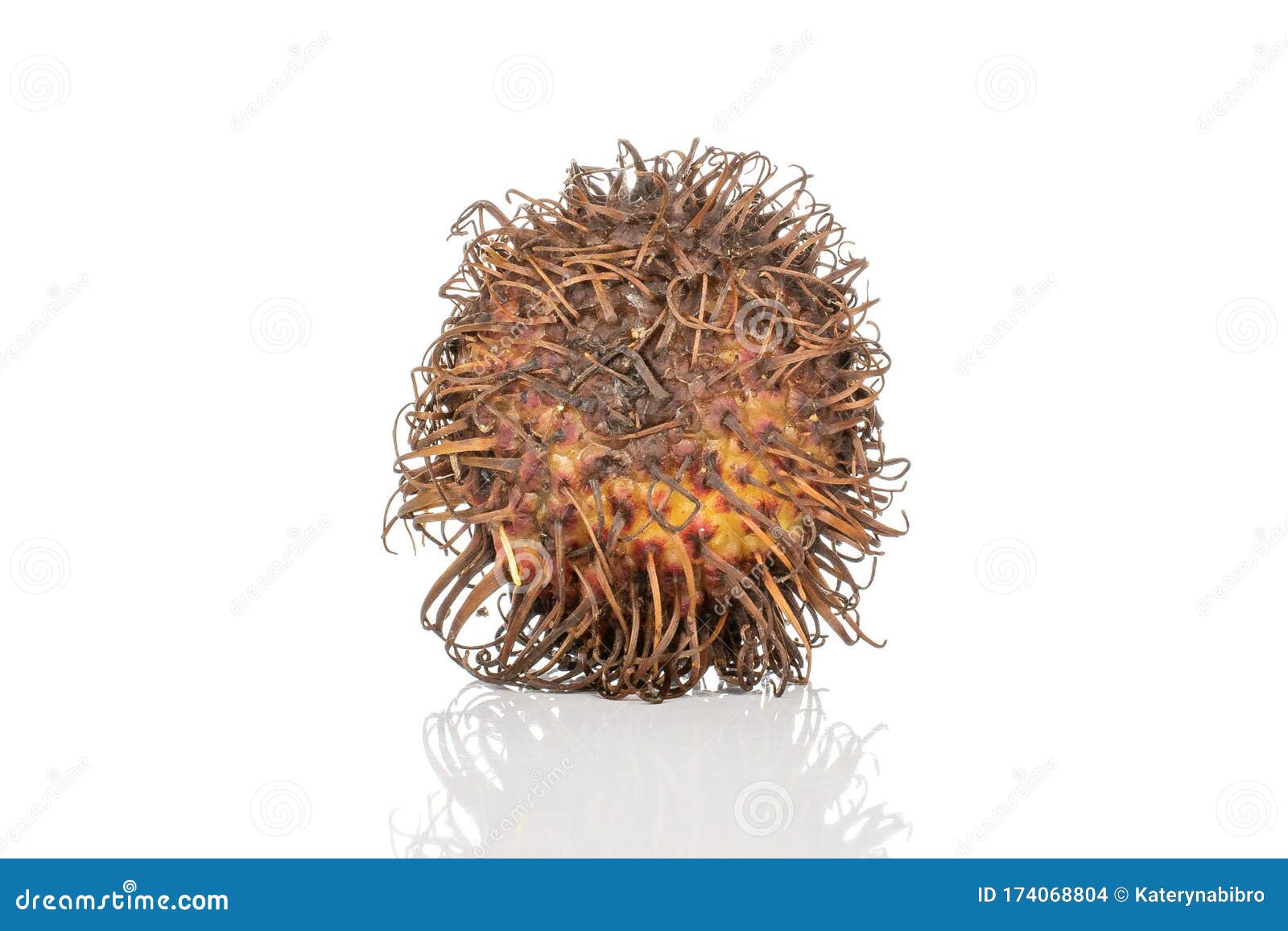 Old Brown Rambutan Isolated on White Stock Photo - Image of freshness ...
