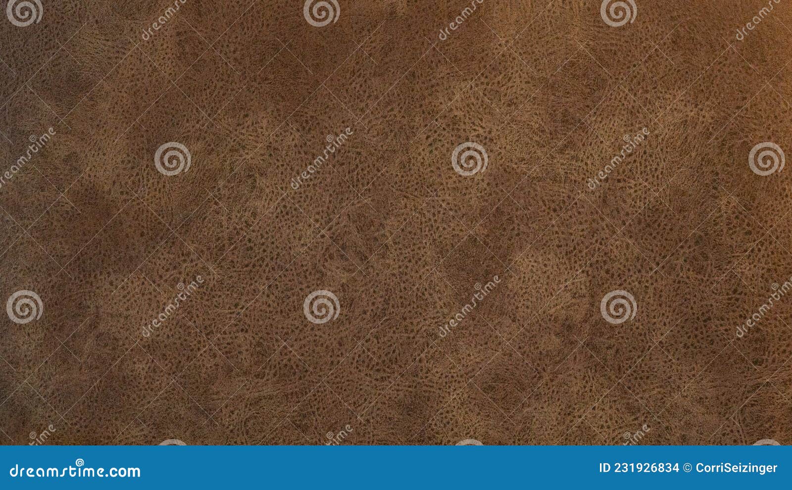 Old Brown Rustic Leather - Background Stock Photo - Image of brown ...
