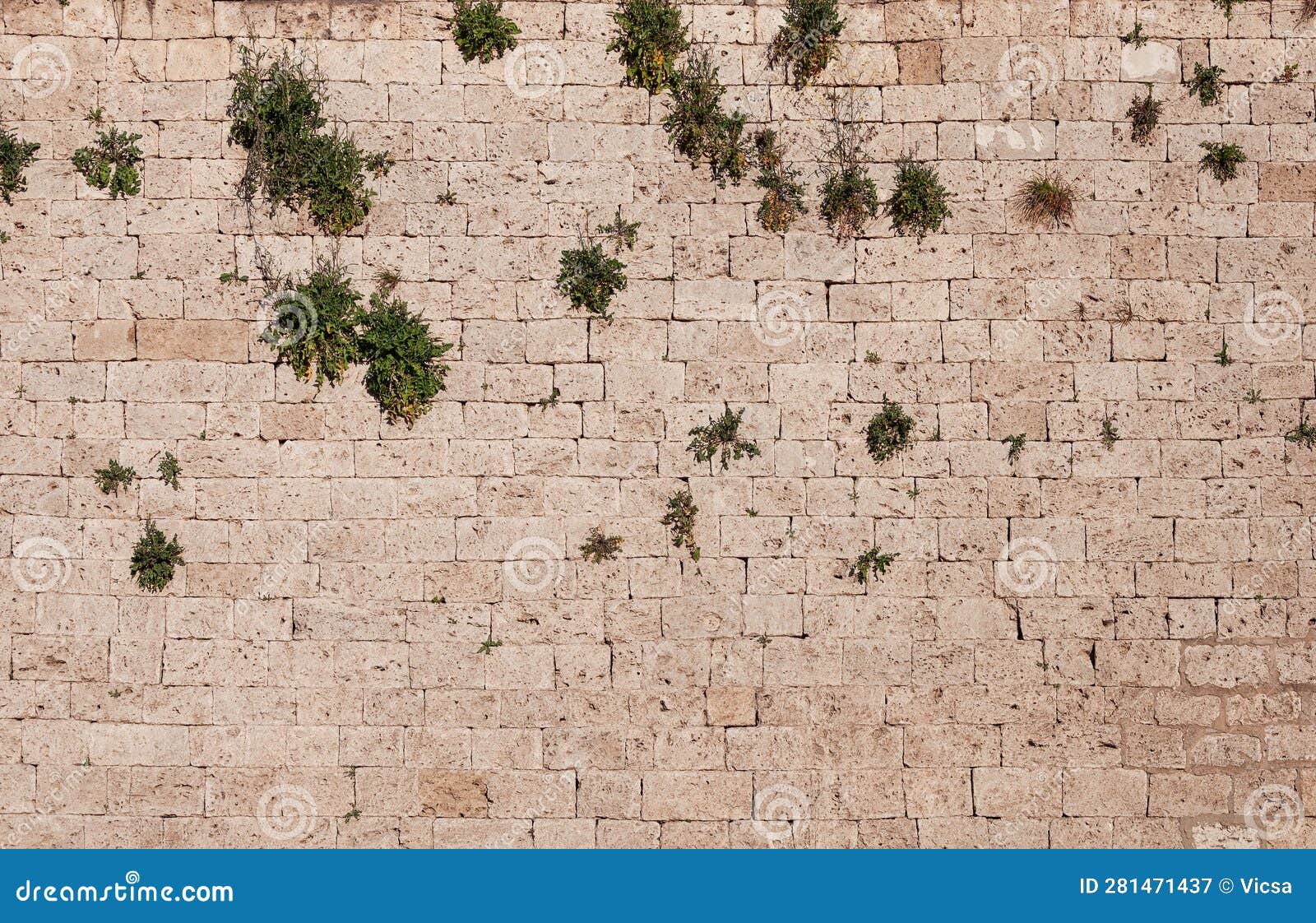 Old Brown Limestone Wall Covered with Grass Stock Image - Image of ...