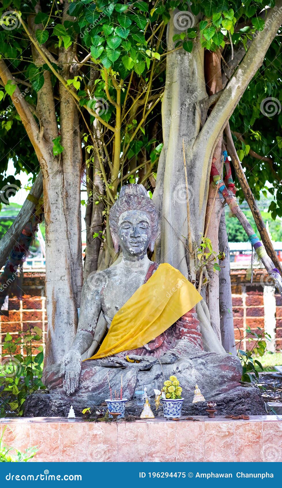 Old Buddha Under Bodhi Tree in Temple Chiang Mai , Thailand Stock Image ...